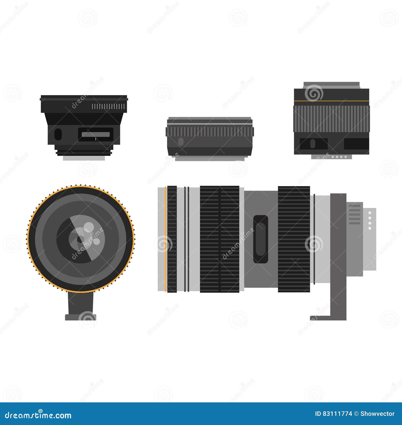 Types Of Lenses Infographic Diagram Converging Diverging Cartoon Vector ...
