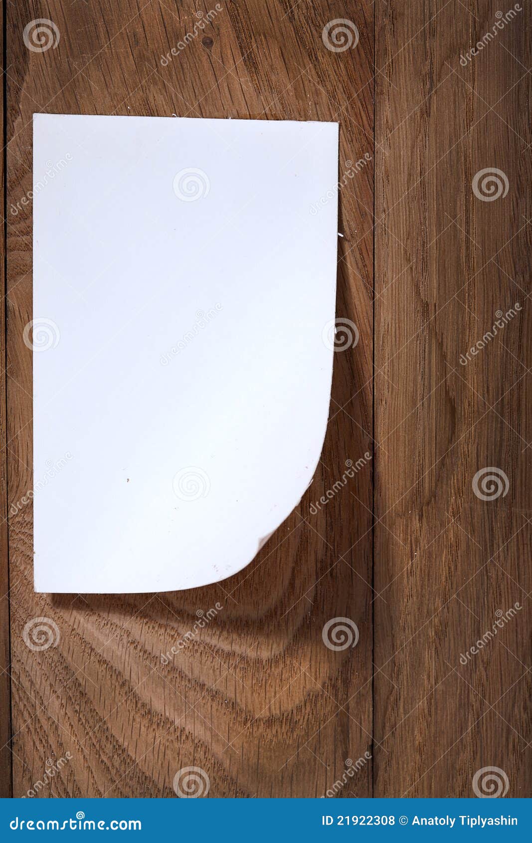 Photo Paper Attach Wooden Background Stock Photo - Image of dark ...