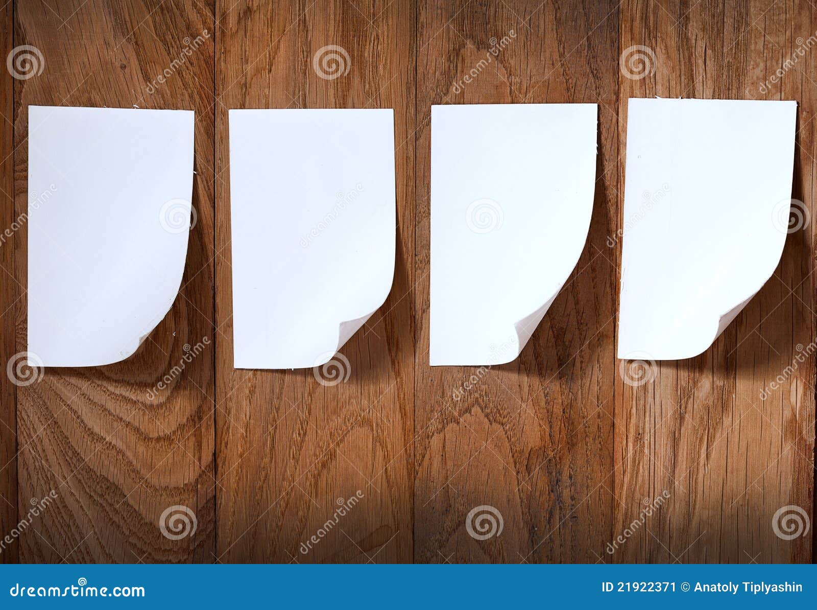 Photo Paper Attach Wooden Background Stock Image - Image of grunge ...