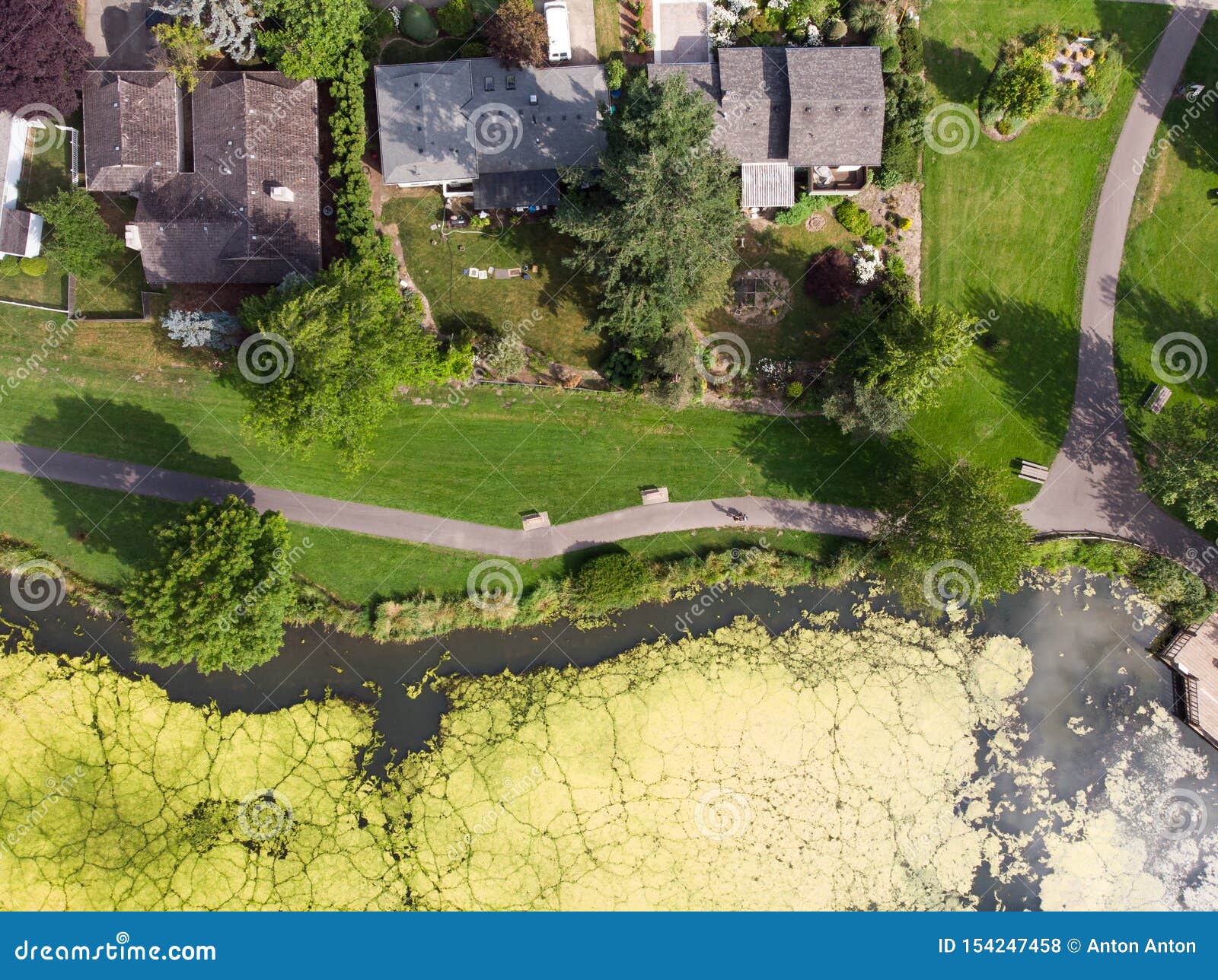Photo of Park with Lake and Landscape Top View, Texture for Design ...