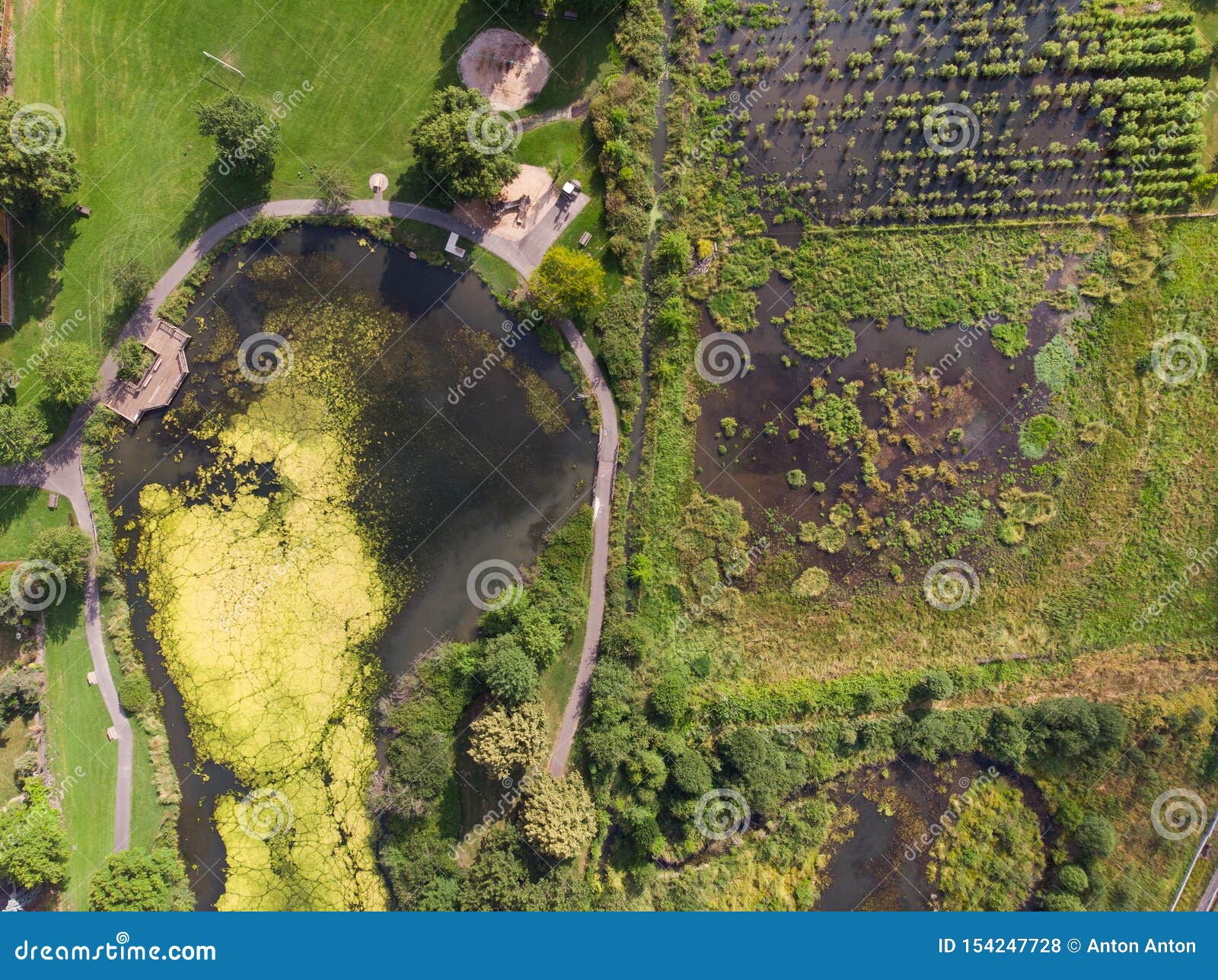 Photo of Park with Lake and Landscape Top View, Texture for Design ...