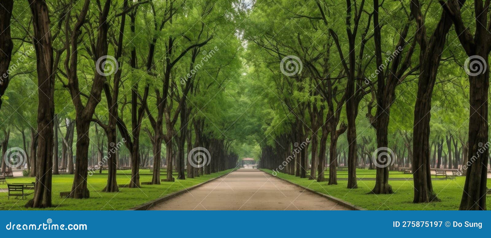 The Photo of Park and Trees Stock Image - Image of serene, nature ...
