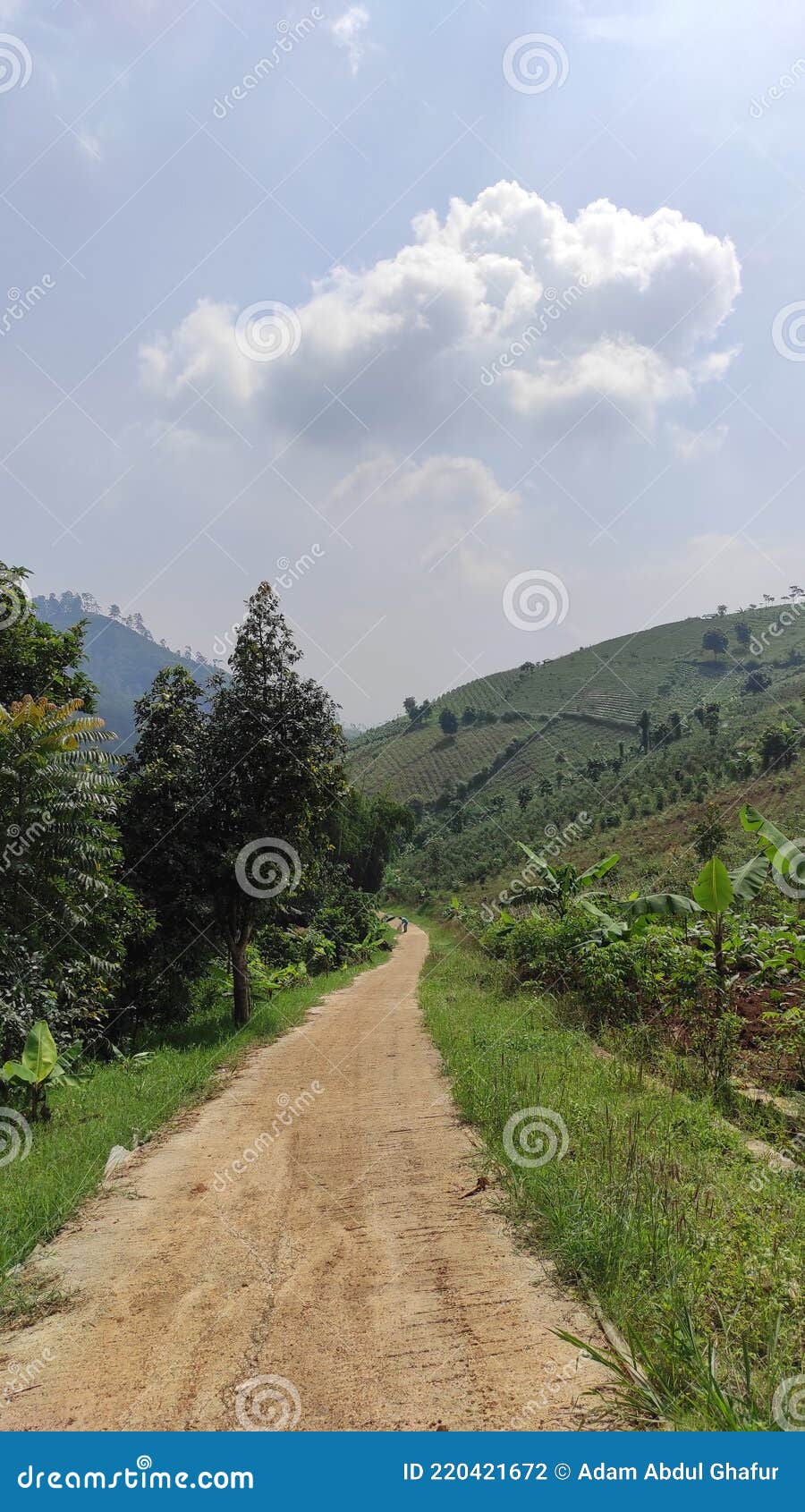 The descending path stock photo. Image of descending - 220421672