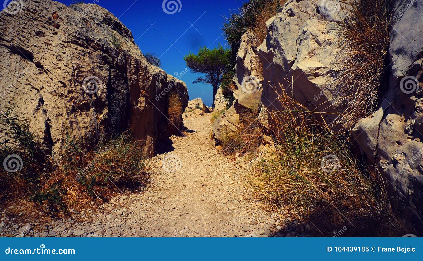 Pathway stock image. Image of road, pathway, dirt, rocks - 104439185