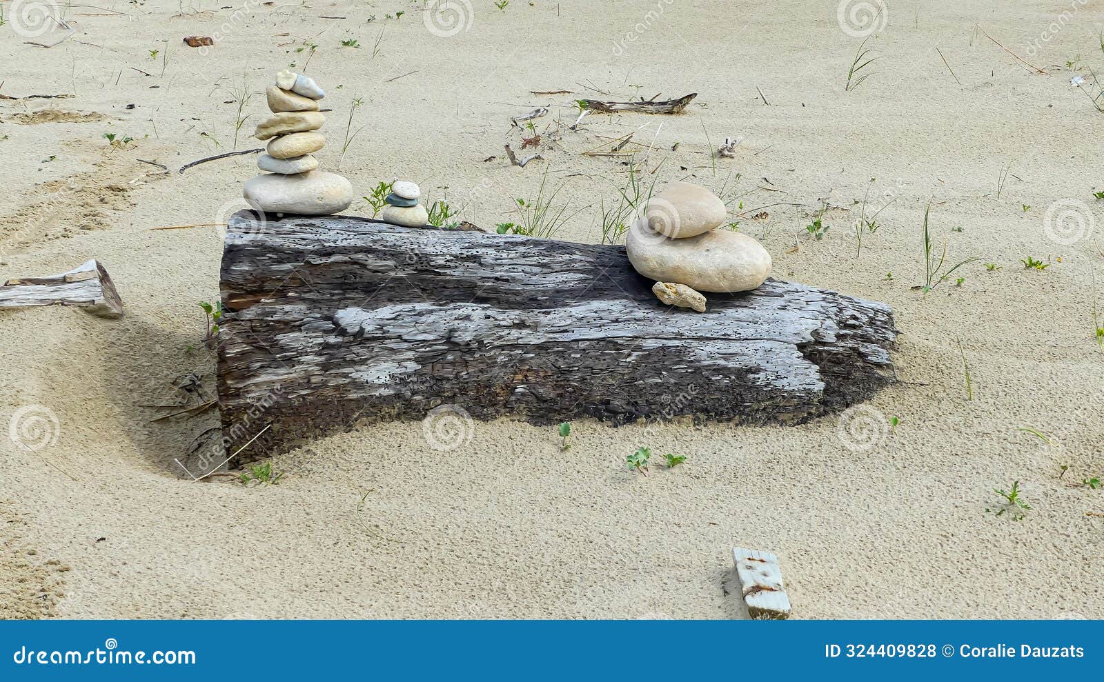 Pebbles Placed on a Tree Trunk Imitating Zenitude Stock Photo - Image ...