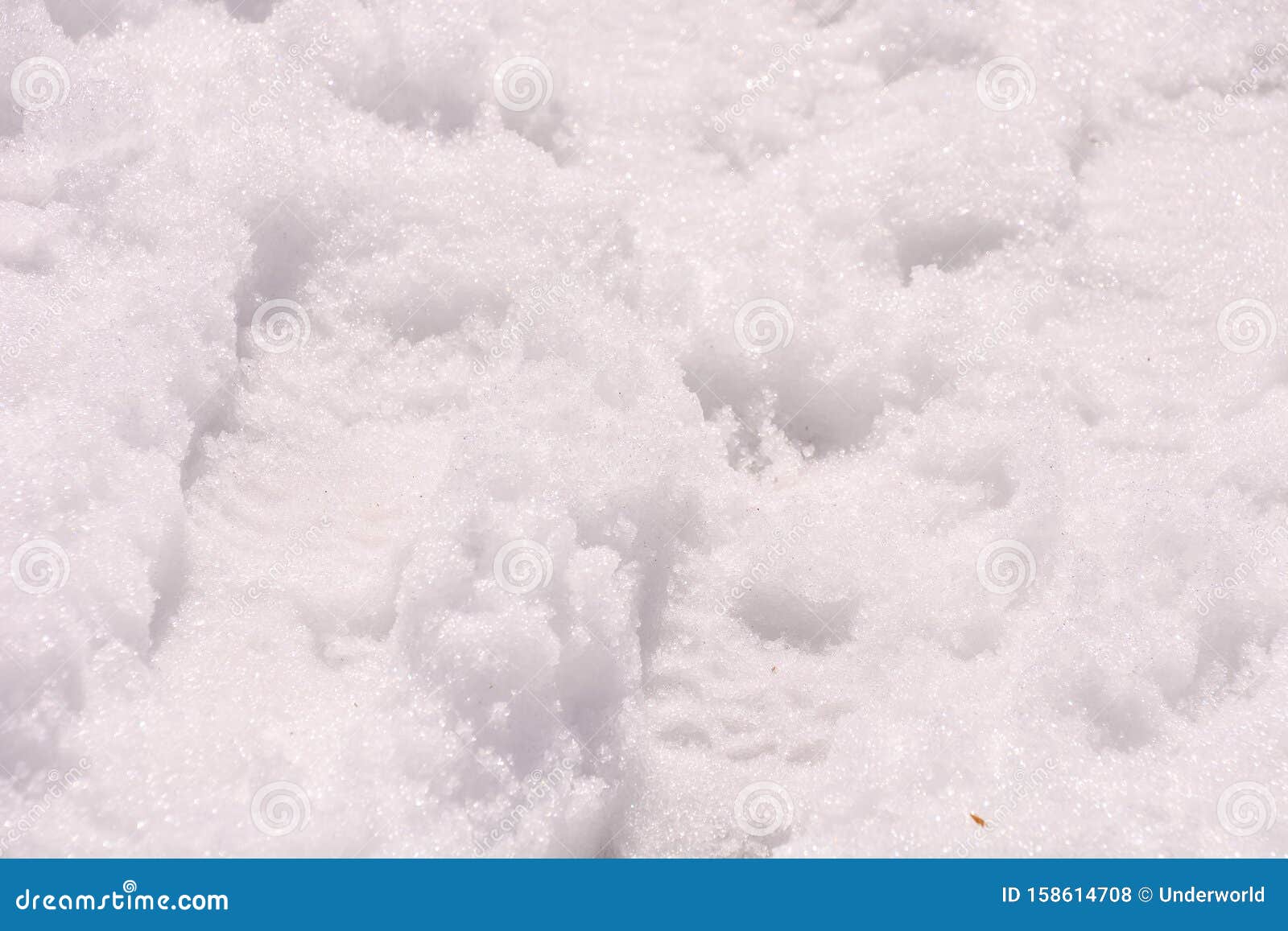 Snow Texture for the Background Stock Photo - Image of snow, cool ...