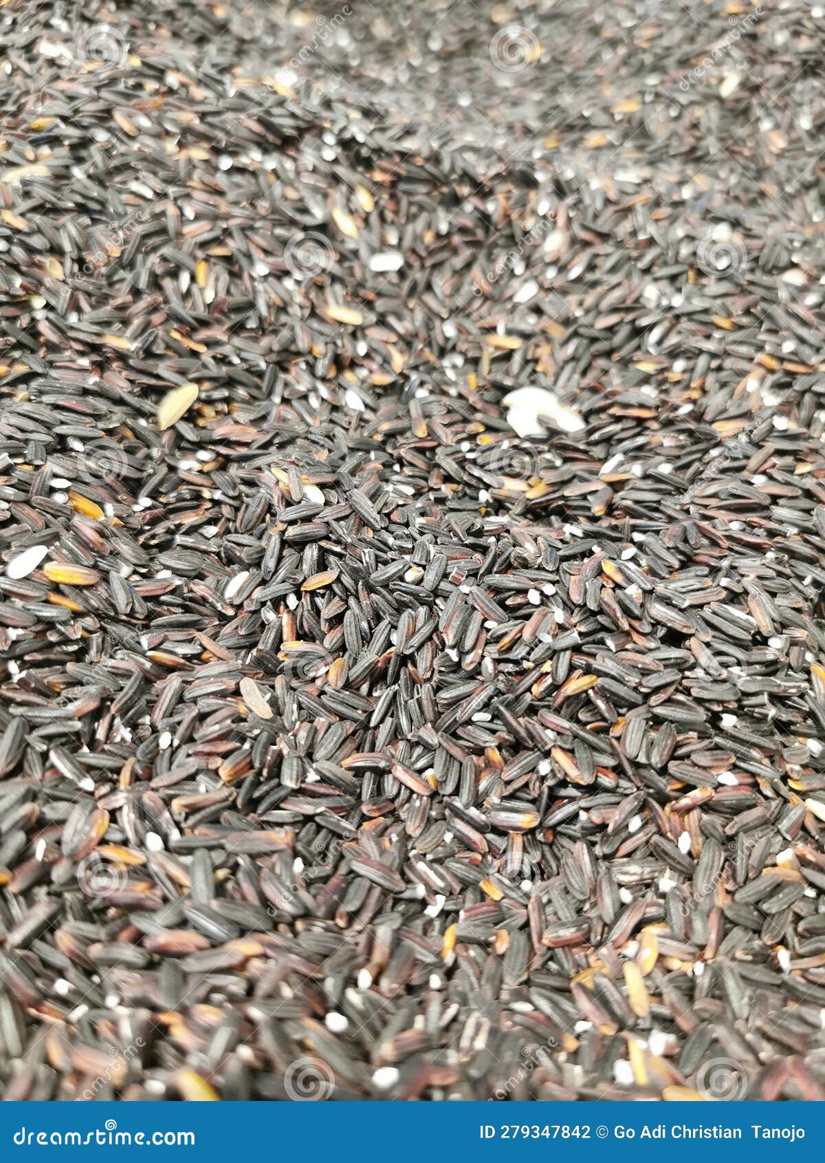 Photo of a Pile of Black Sticky Rice Stock Photo - Image of black, pile ...