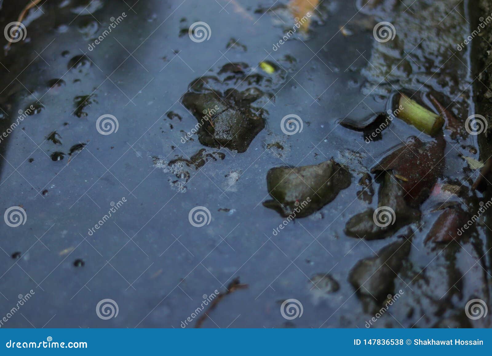 Polluted drain. stock photo. Image of toxic, garbage - 147836538