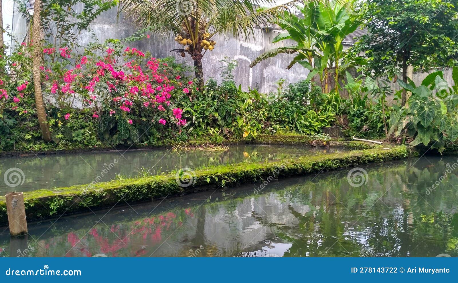 Photo of a Pond in a Beautiful Rural Area. Stock Photo - Image of ...