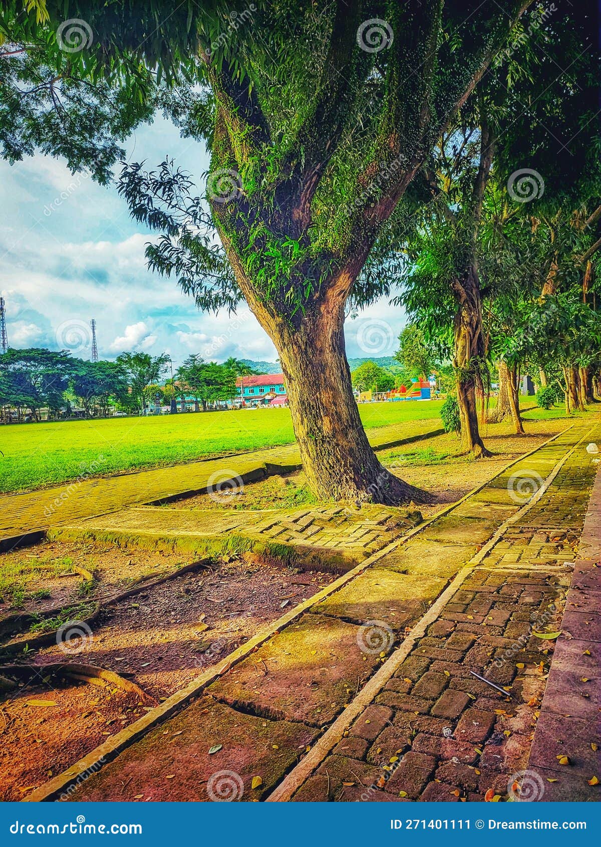 Photo of a Promenade and Shady Trees Around the Square. Stock Image ...