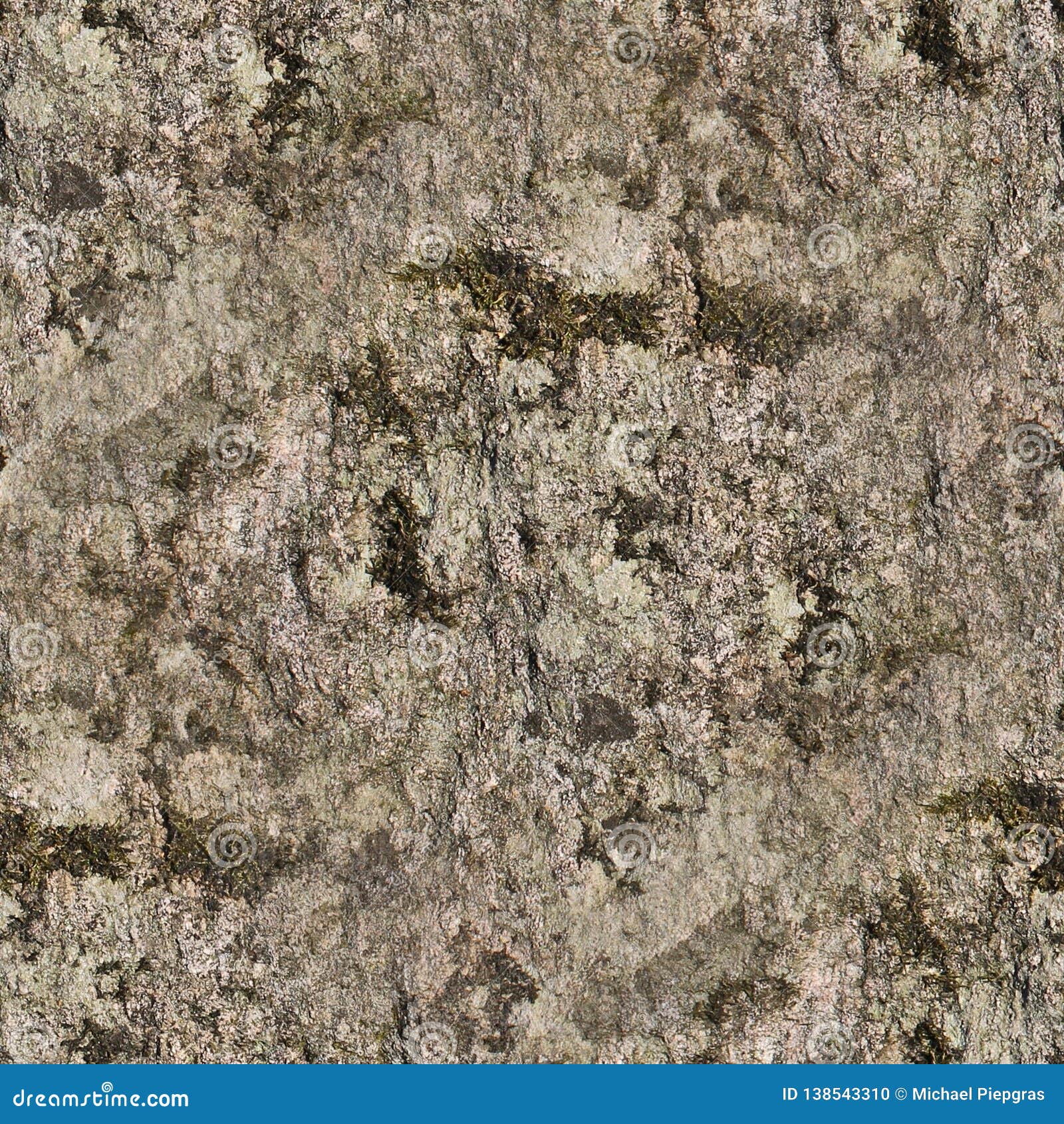 Photo Realistic Texture of Tree Bark in High Resolution Stock Photo ...