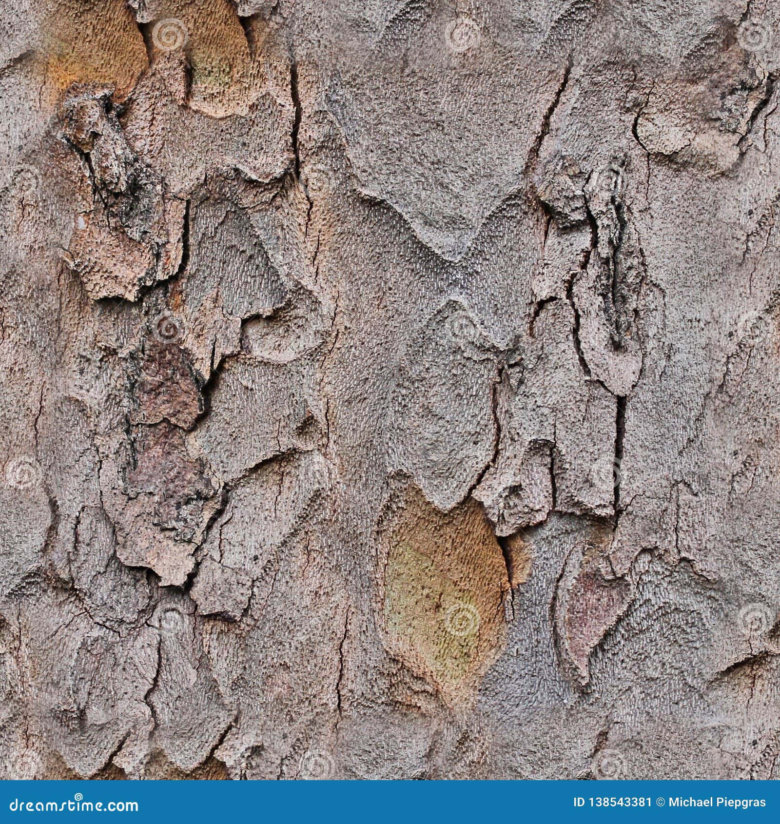 Photo Realistic Texture of Tree Bark in High Resolution Stock Image ...