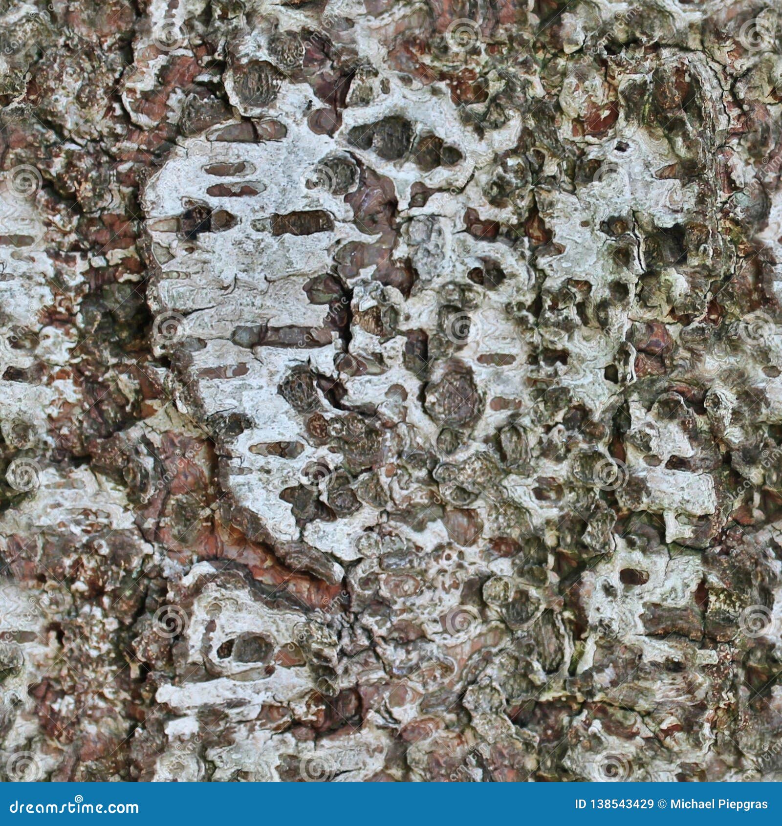 Photo Realistic Texture of Tree Bark in High Resolution Stock Image ...