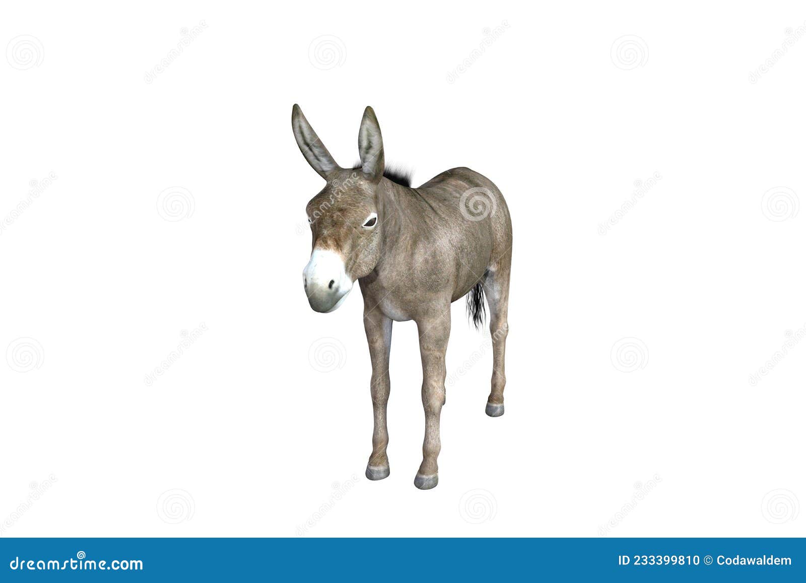 Photo-realistic Illustration of the Donkey. Stock Illustration ...