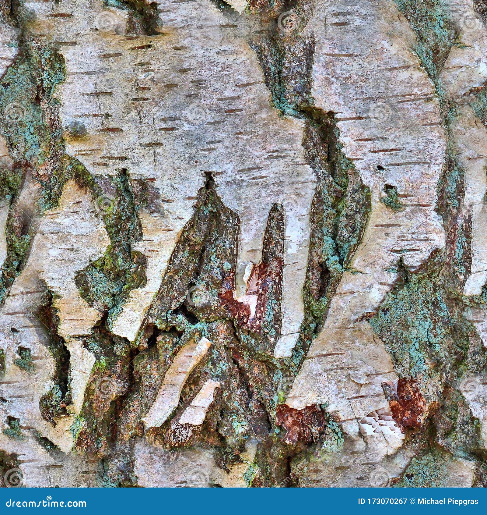 Realistic Seamless Texture Of A Tileable Concrete Wall In High ...