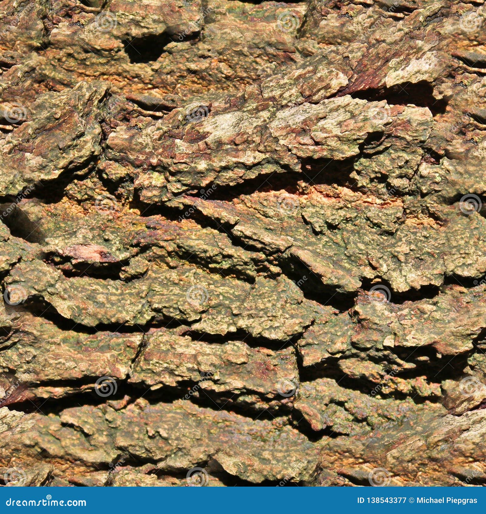Photo Realistic Texture of Tree Bark in High Resolution Stock Image ...