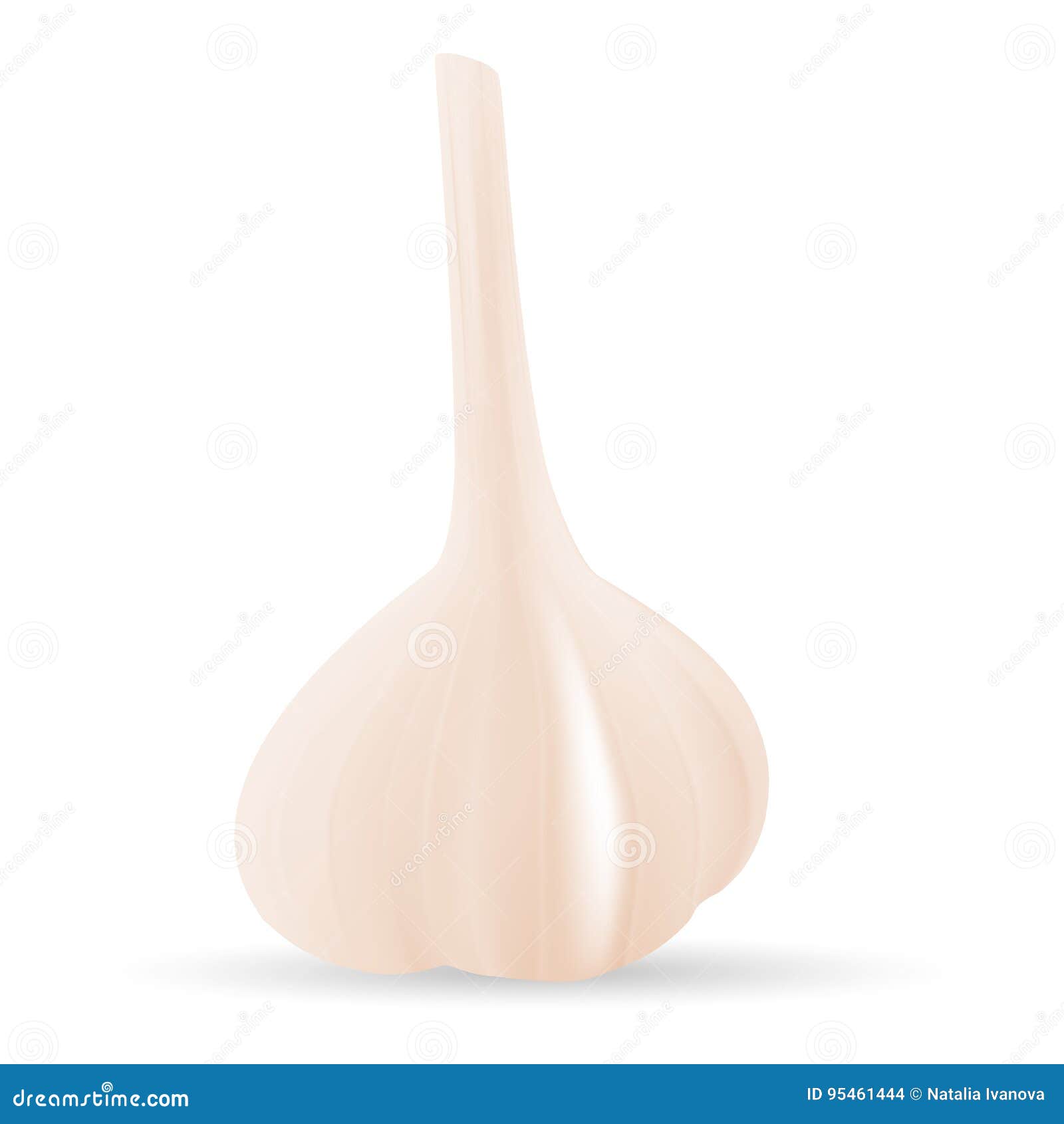 Photo Realistic Vector Garlic on a White Background. Stock Vector ...