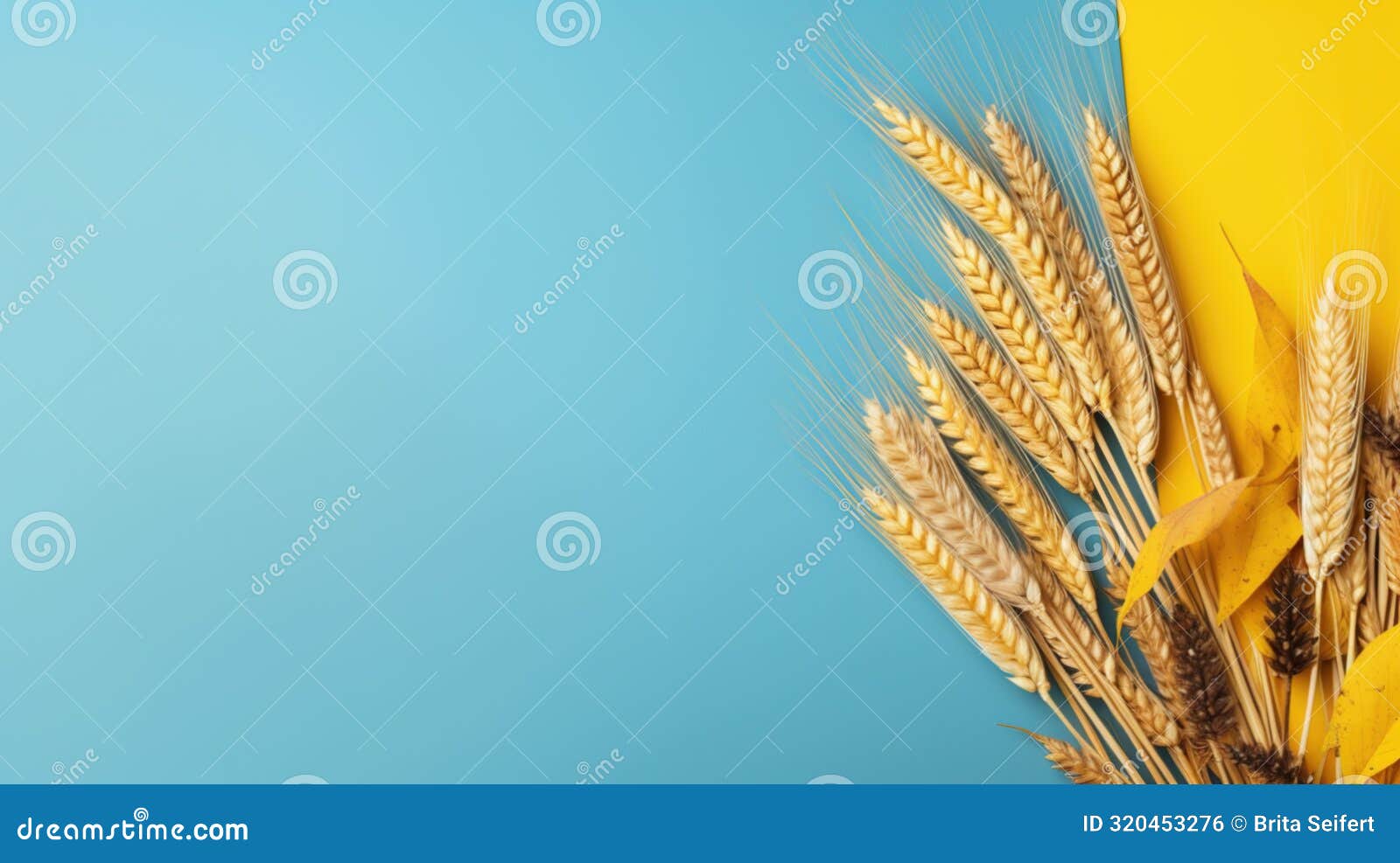 Photo Realistic Wheat on a Blue Background Stock Illustration ...