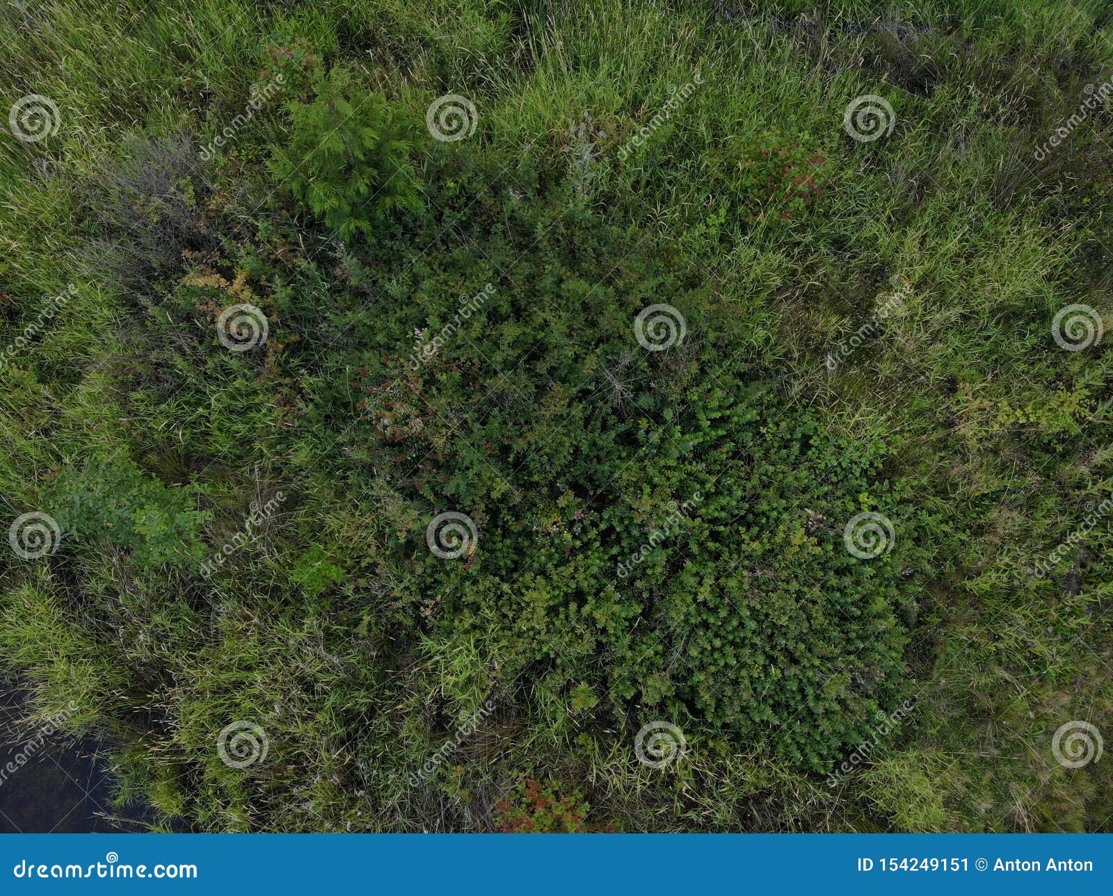 Photo of the River and the Landscape Top View, Texture for Design Stock ...