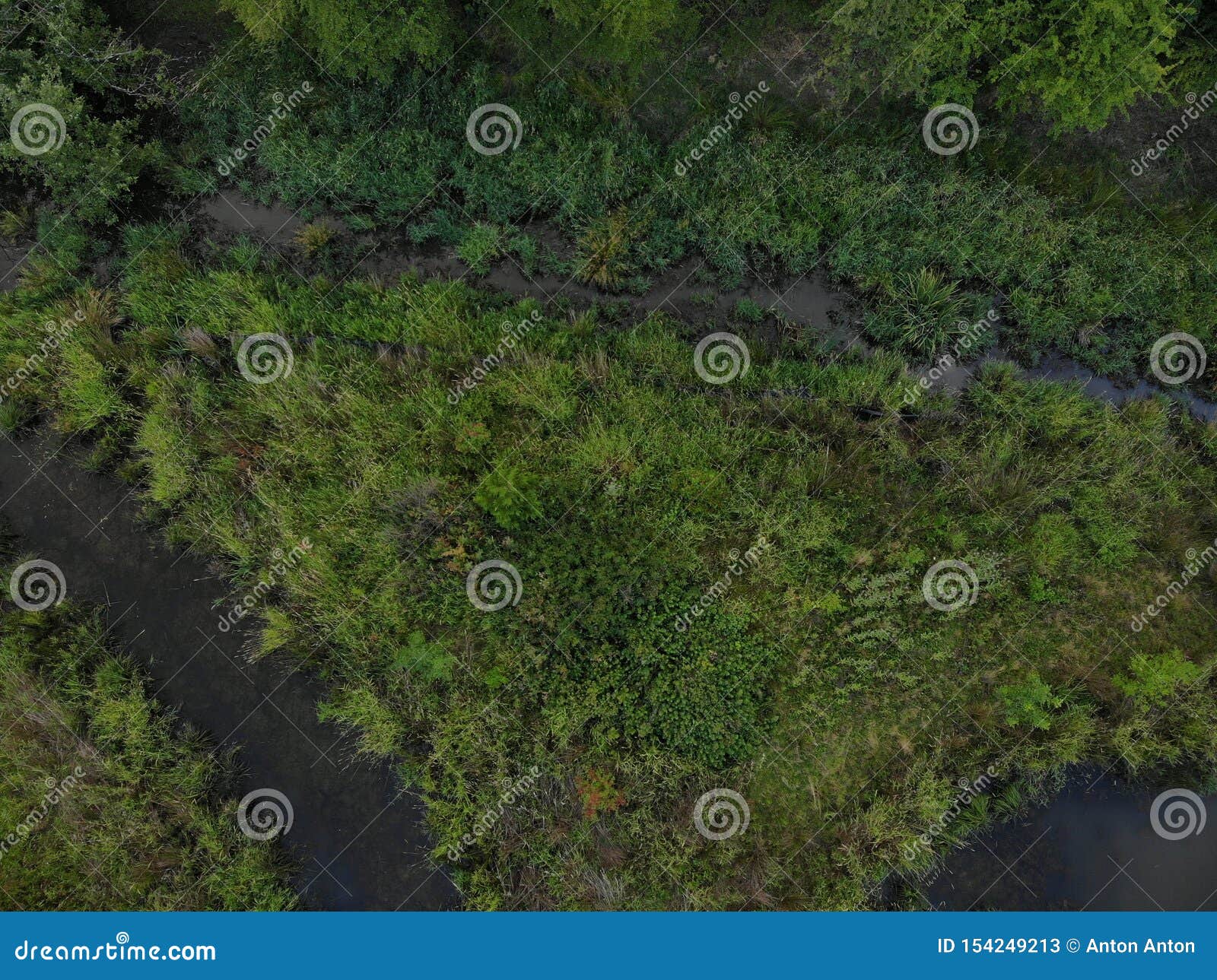 Photo of the River and the Landscape Top View, Texture for Design Stock ...