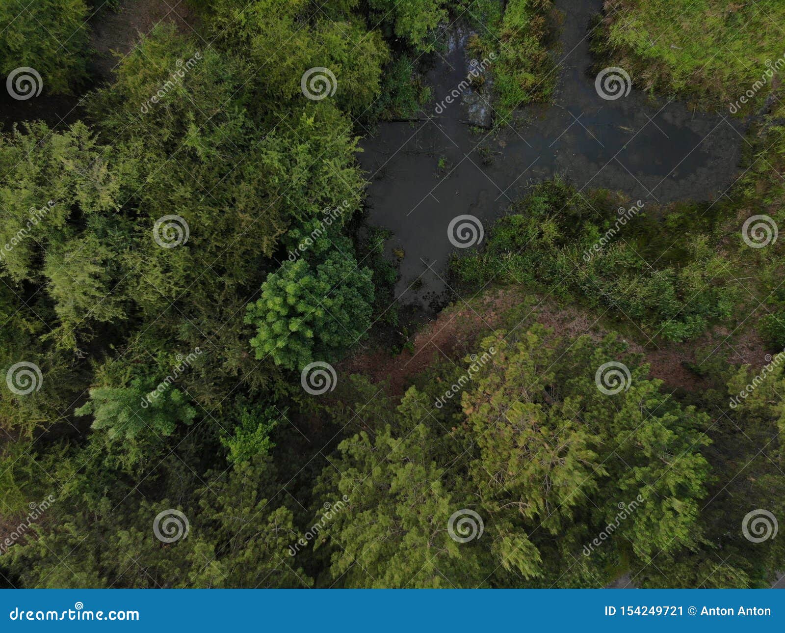 Photo of the River and the Landscape Top View, Texture for Design Stock ...