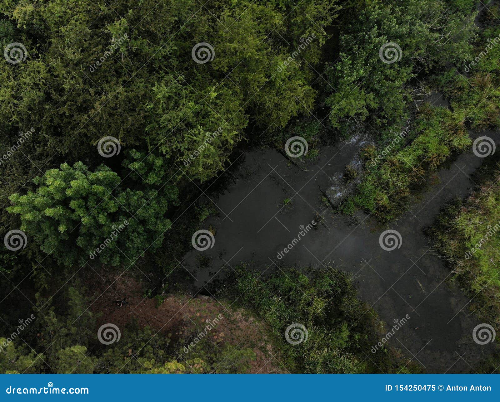 Photo of the River and the Landscape Top View, Texture for Design Stock ...
