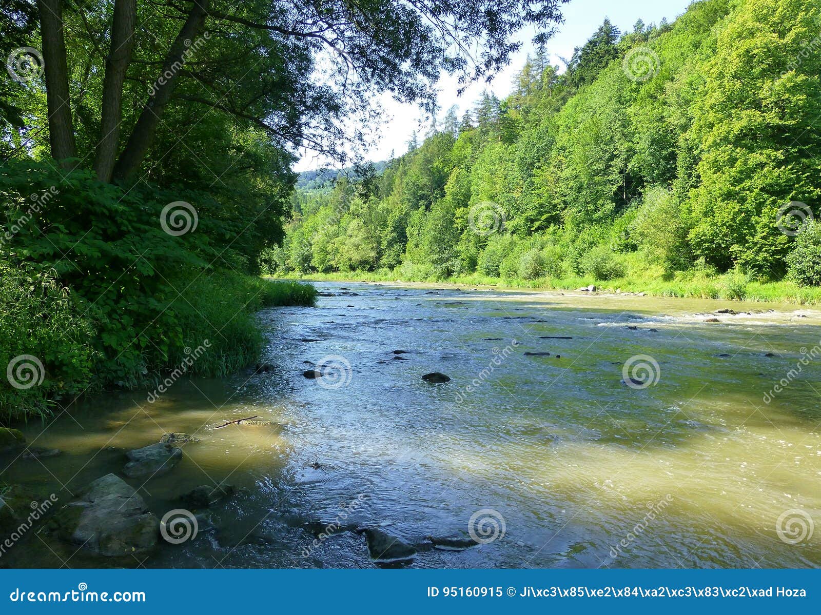River surrounded by trees stock image. Image of side - 95160915 River surrounded by trees stock image. Image of side - 95160915