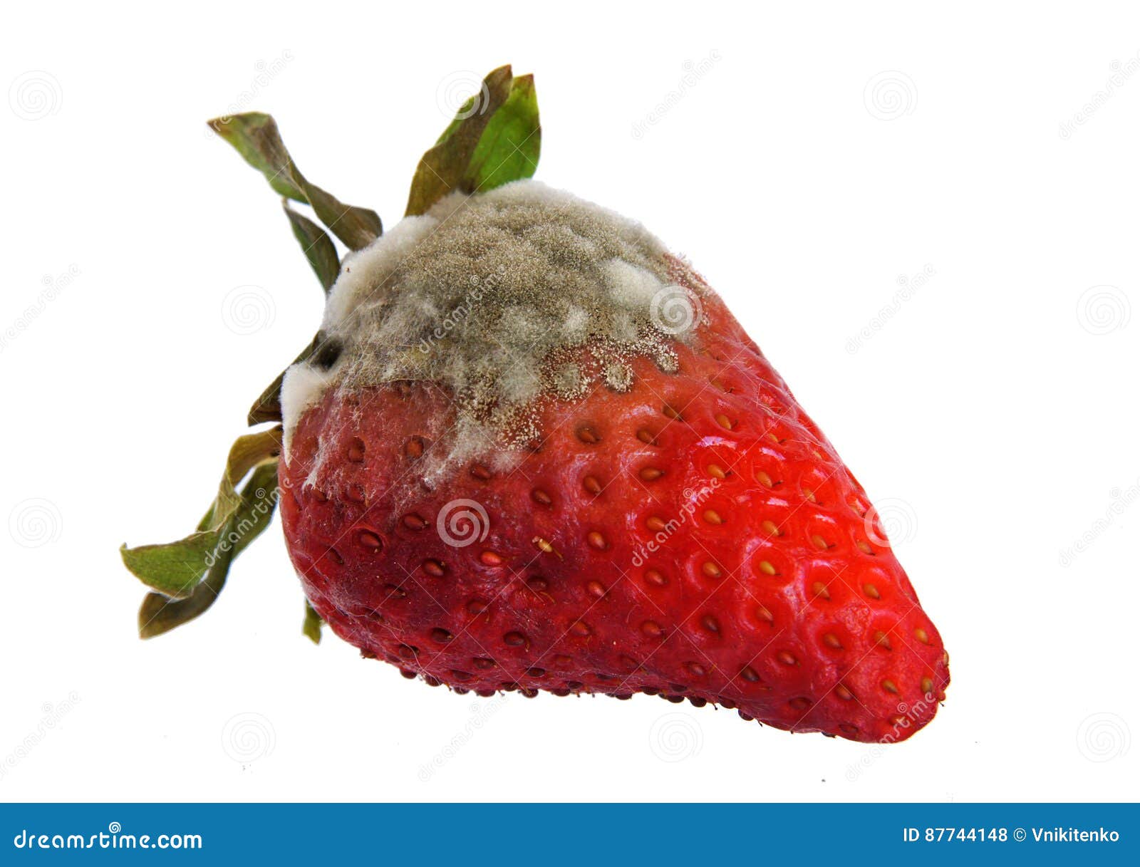Photo of Rotten Strawberries Stock Photo - Image of poisonous, organic ...