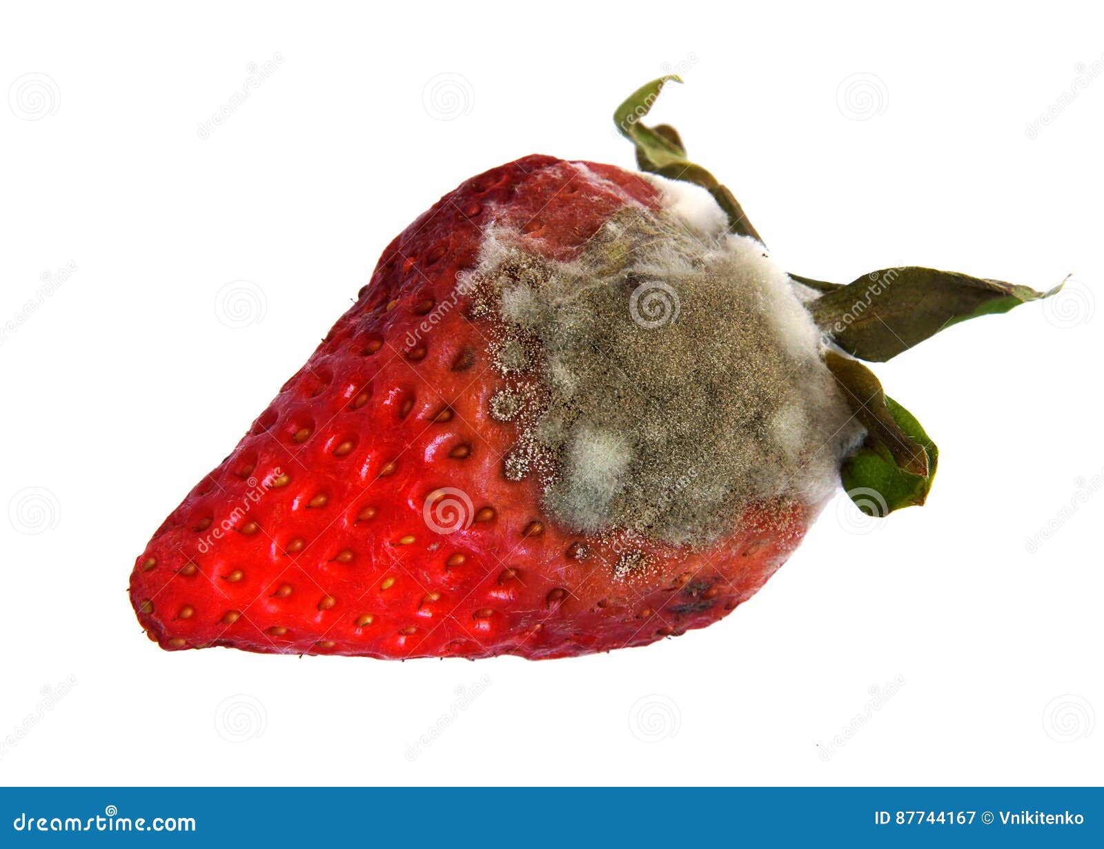 Photo of Rotten Strawberries Stock Image - Image of plant, organic ...
