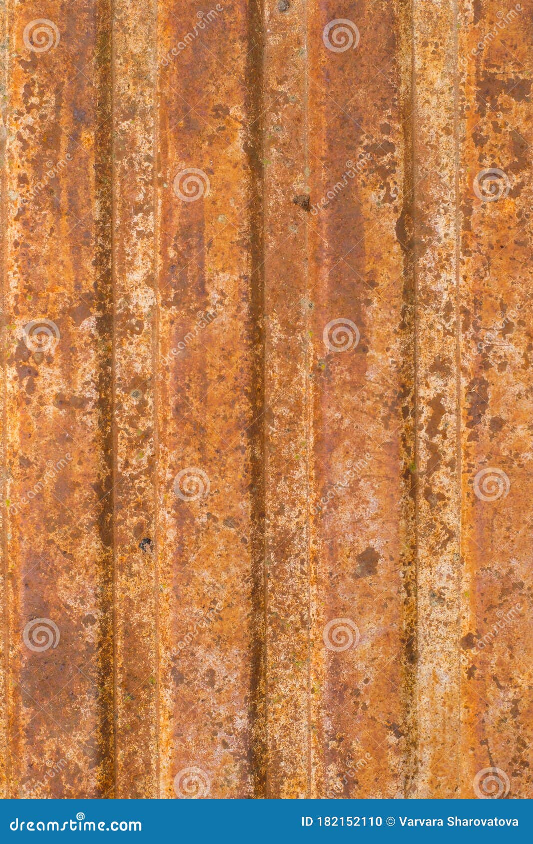 Radiator Texture Royalty-Free Stock Photography | CartoonDealer.com ...