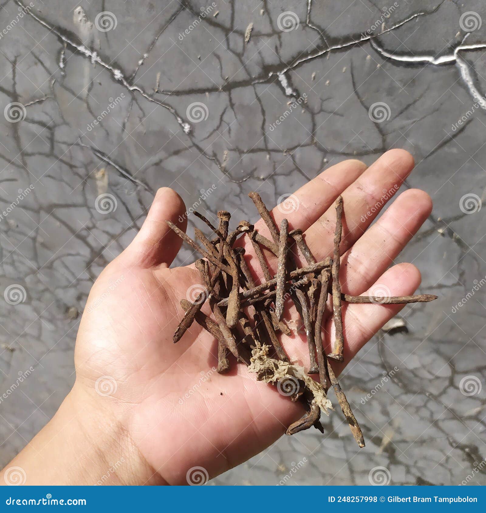 Photo of Rusty Nails in Hand Stock Photo - Image of walls, tetanus ...