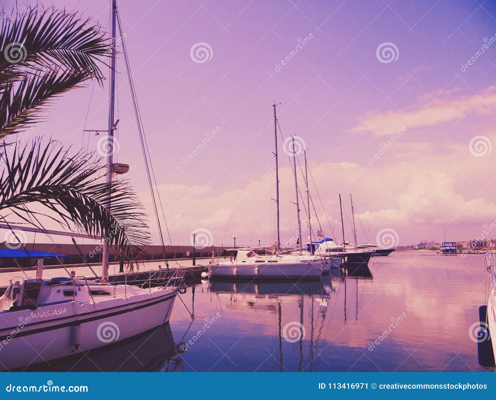 Photo Of Sailboats On The Water Picture. Image: 113416971