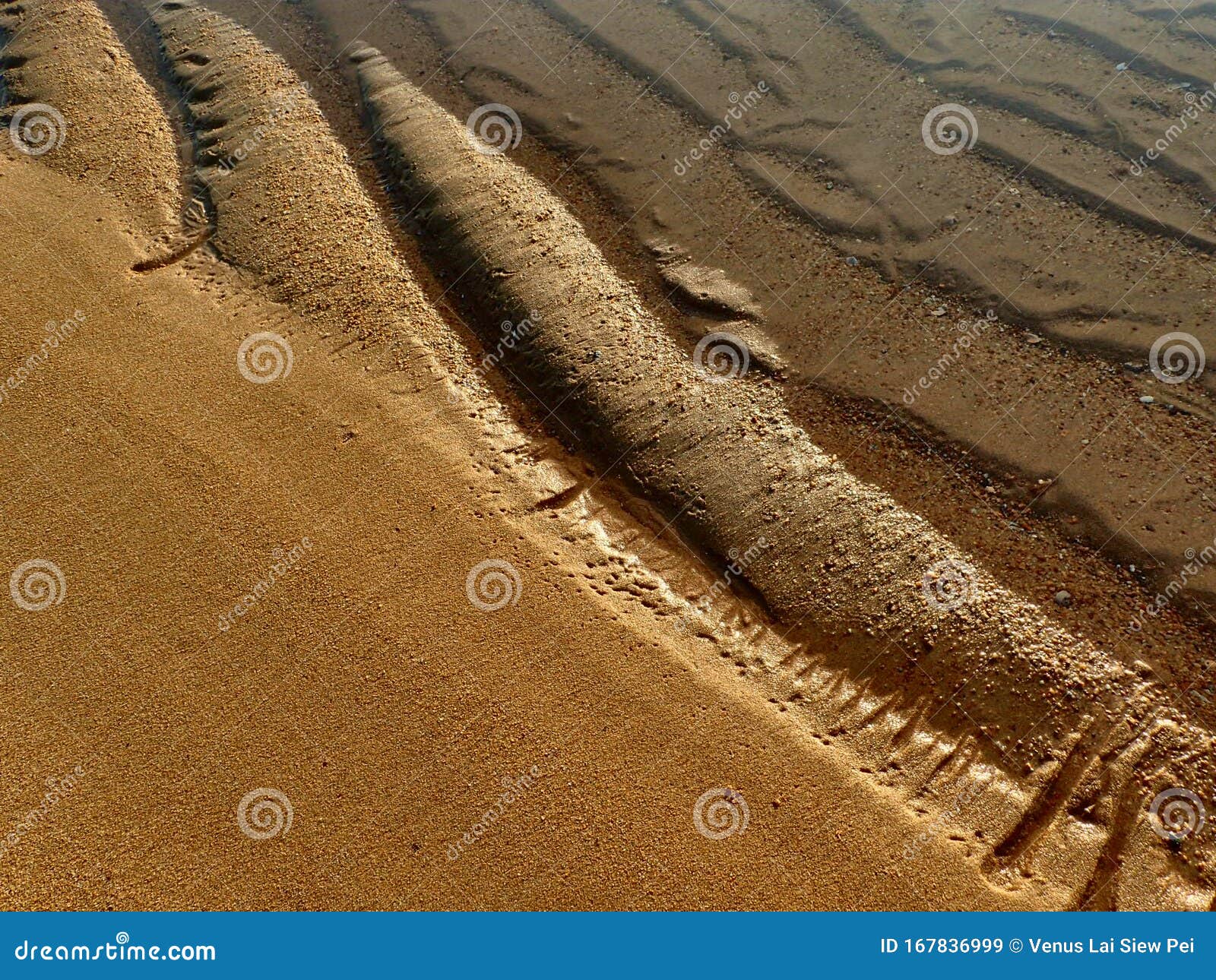 Photo on the Seaside with Texture Stock Image - Image of field, rock ...