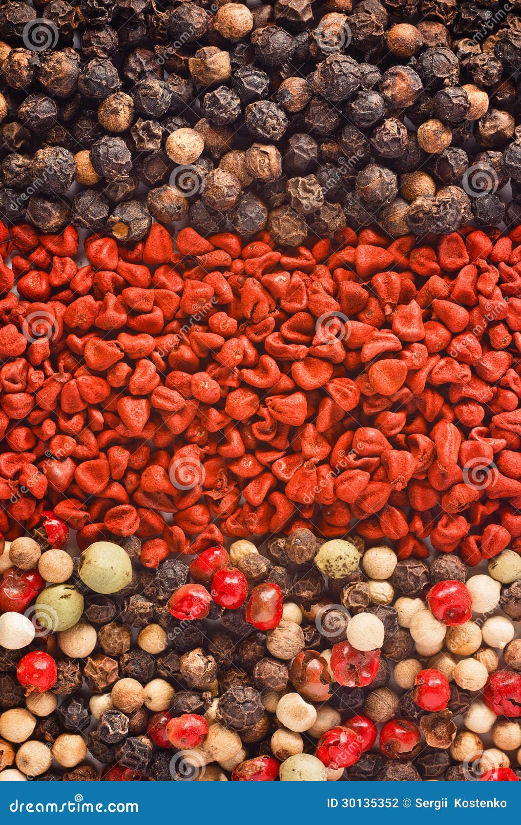Spices background texture stock photo. Image of food - 30135352