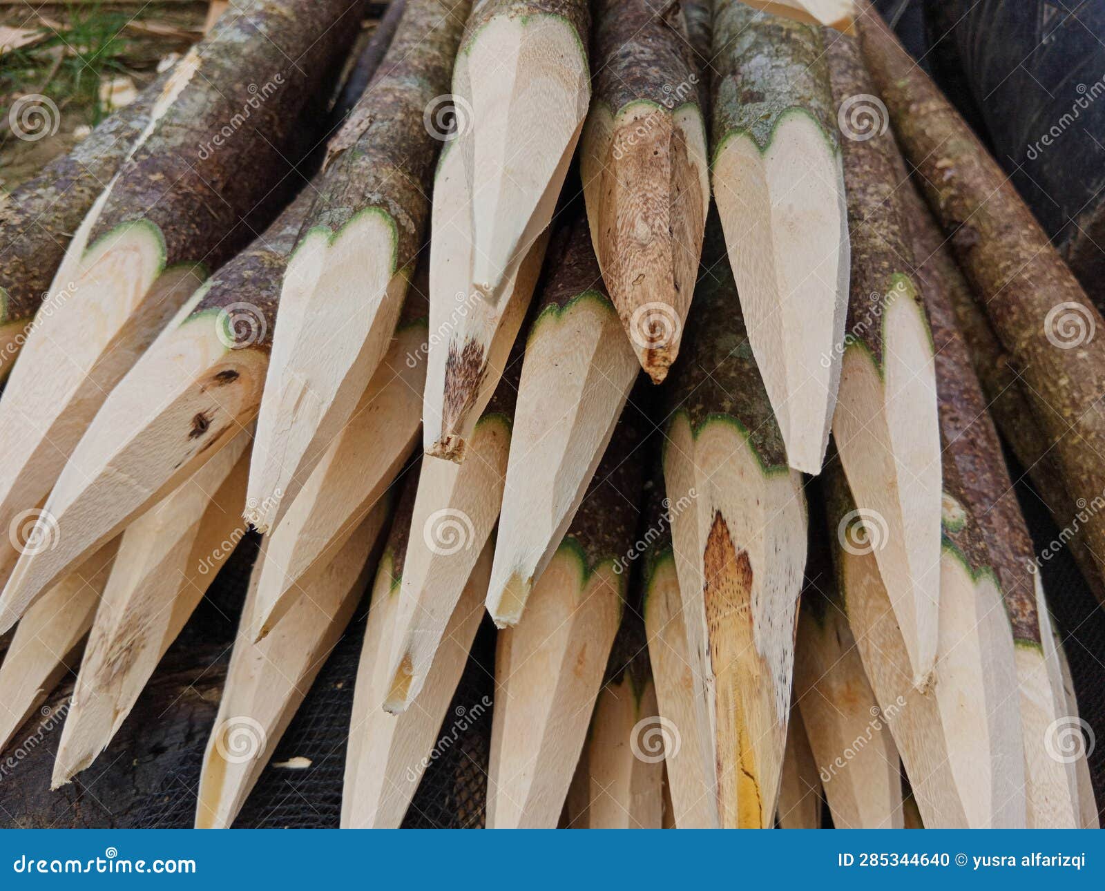 This is a Photo of a Sharpened Wood for a House Fence Stock Photo ...