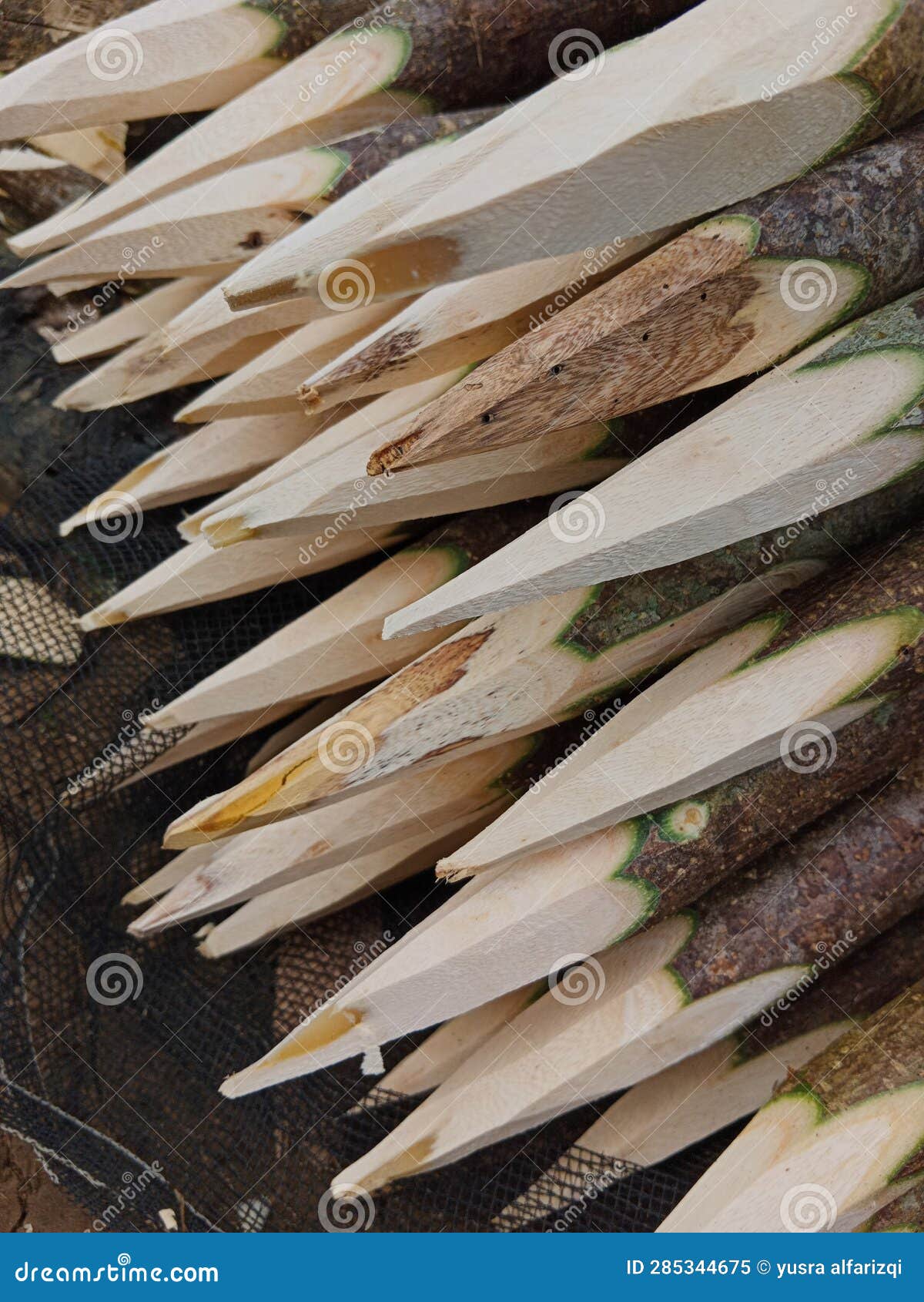 This is a Photo of Sharpened Wood To Make a Fence Stock Image - Image ...