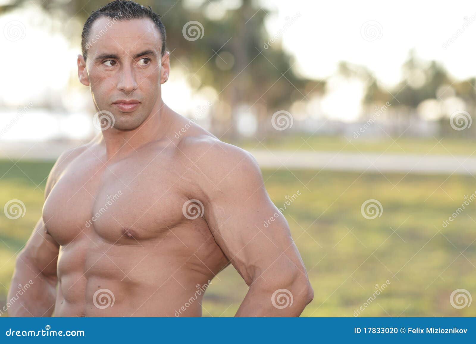 Photo of a Shirtless Bodybuilder Stock Photo - Image of shirtless ...