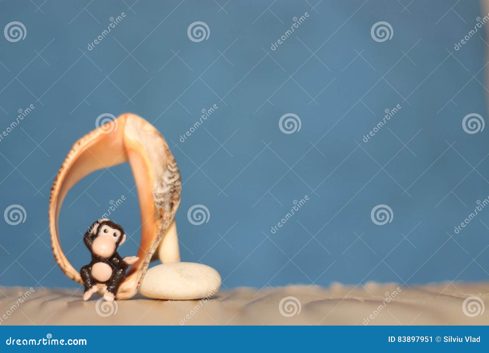 Photo Shoot on the Beach with Conch Frame Stock Image - Image of travel ...