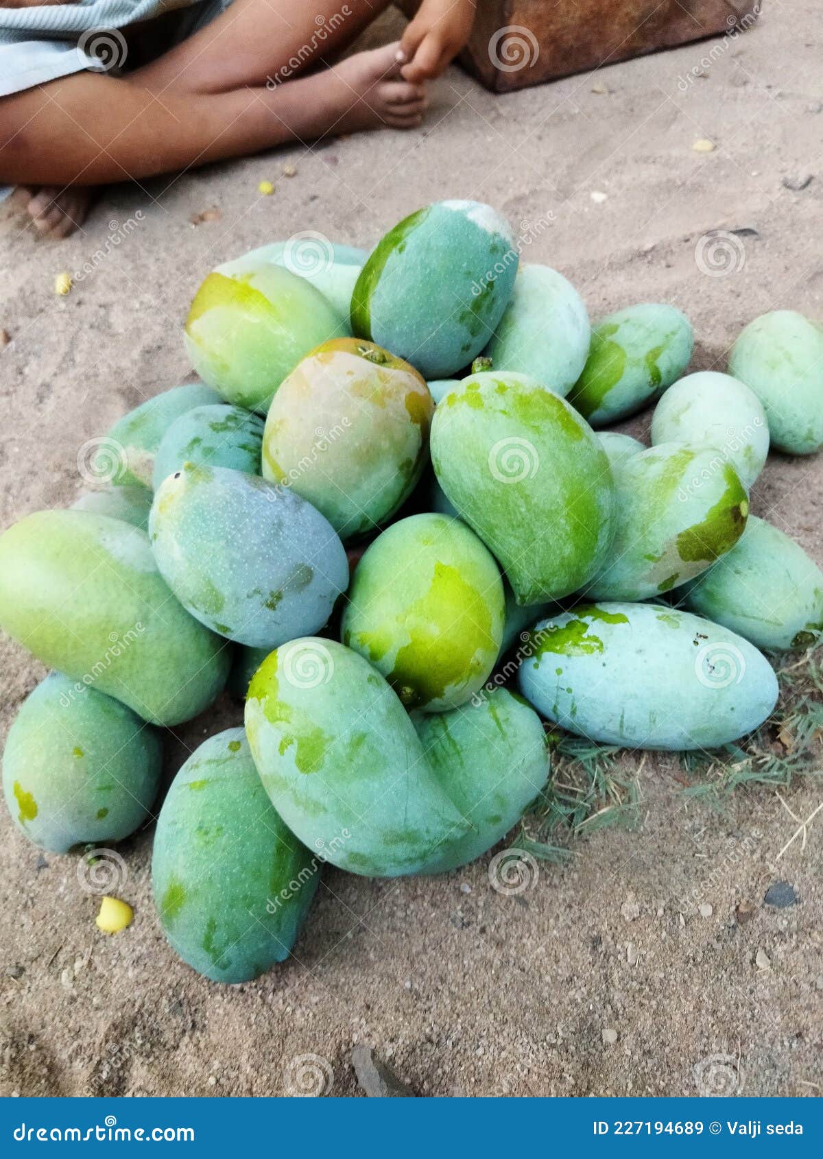 Photo Shoot Beautiful Mango Stock Image - Image of leaf, beautiful ...