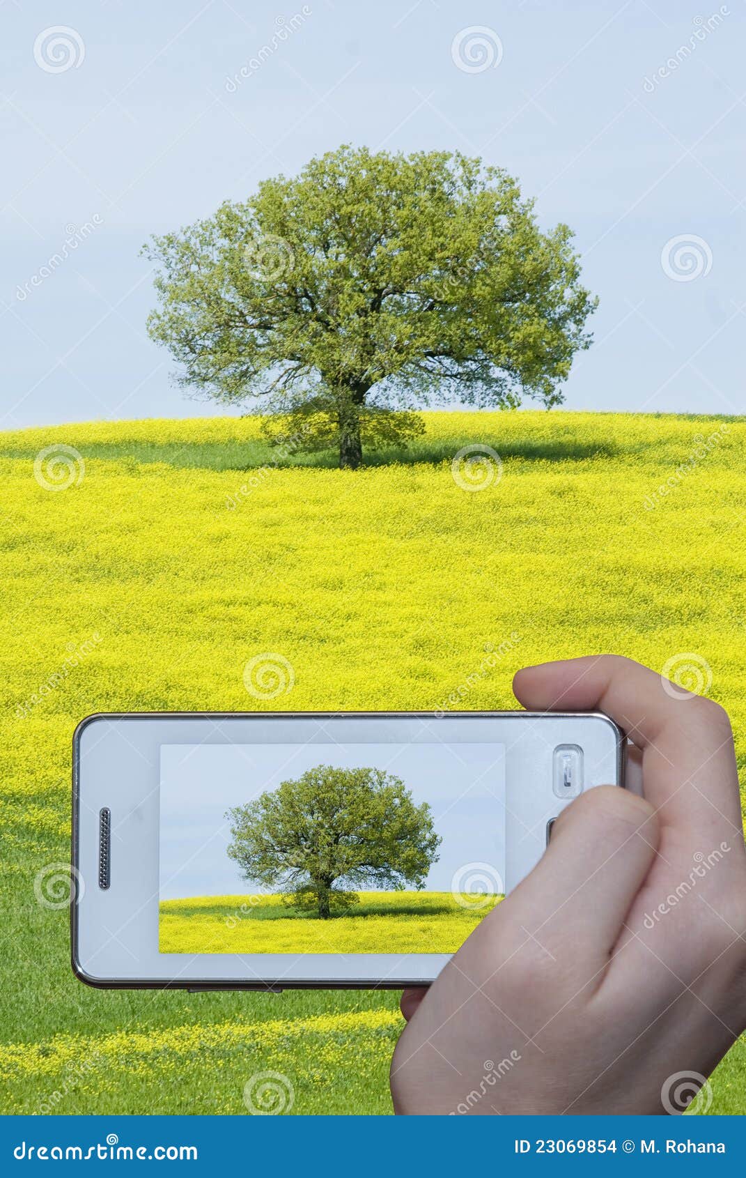 PHoto Shoot with Mobile Phone Stock Photo - Image of meadow, screen ...