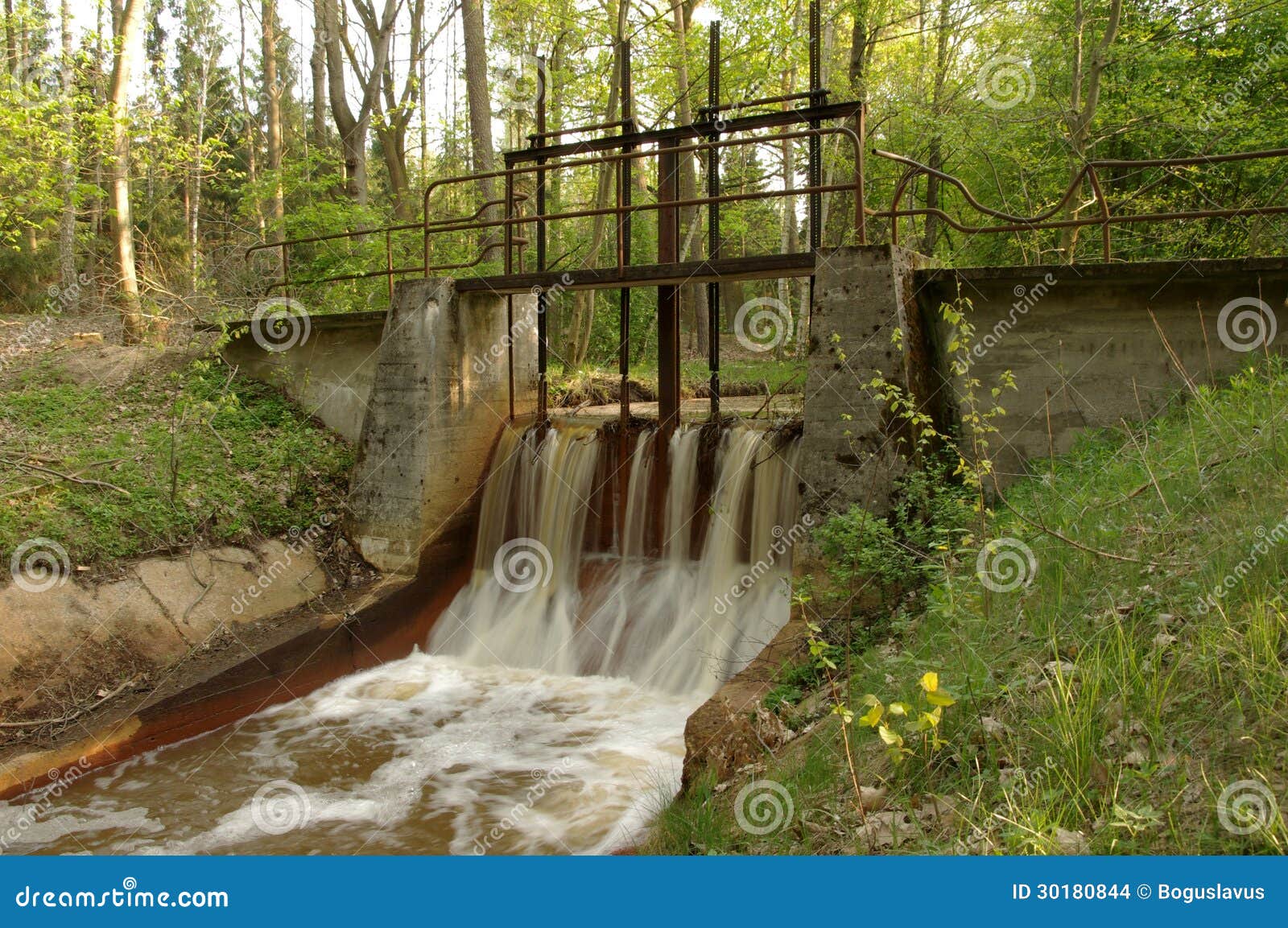 Dam in the forest. stock photo. Image of leaves, weir - 30180844
