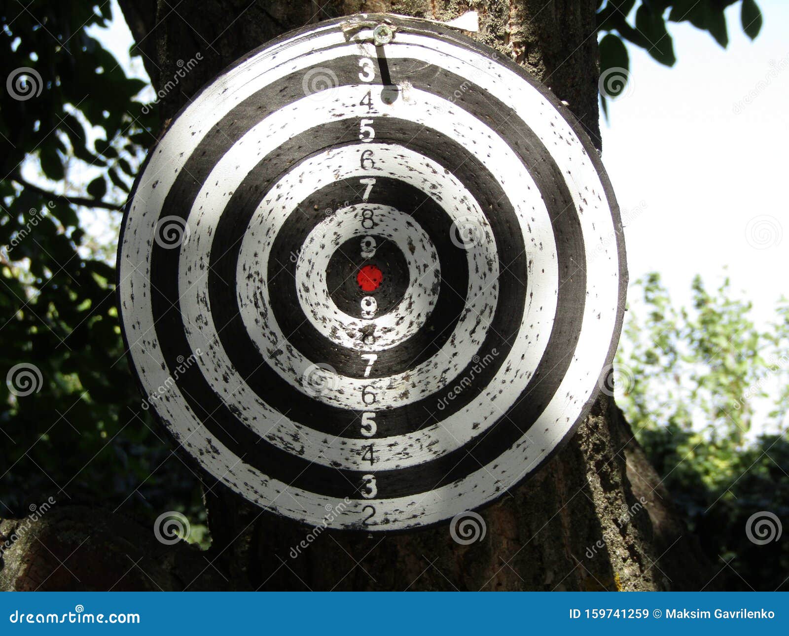 Target for darts on a tree stock image. Image of healthy - 159741259