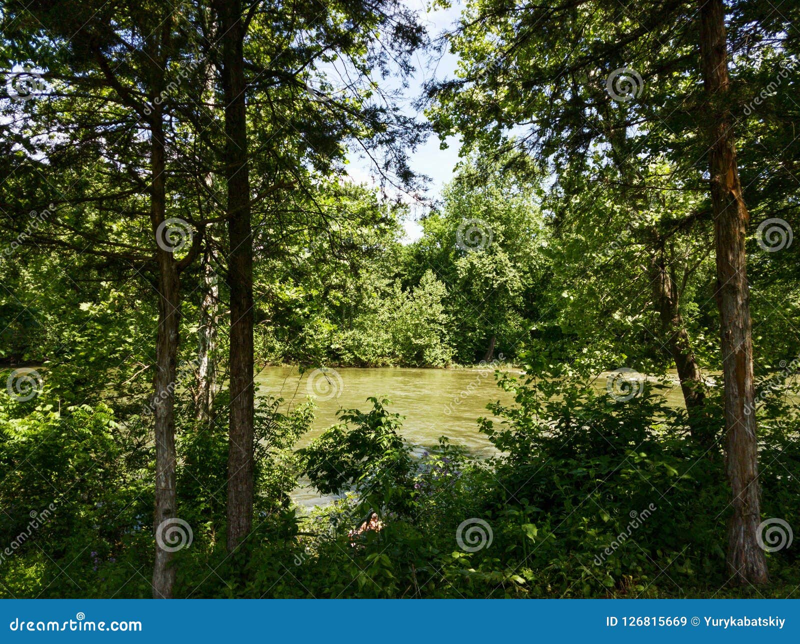 Sight on a River between Trees Stock Image - Image of green, nature ...