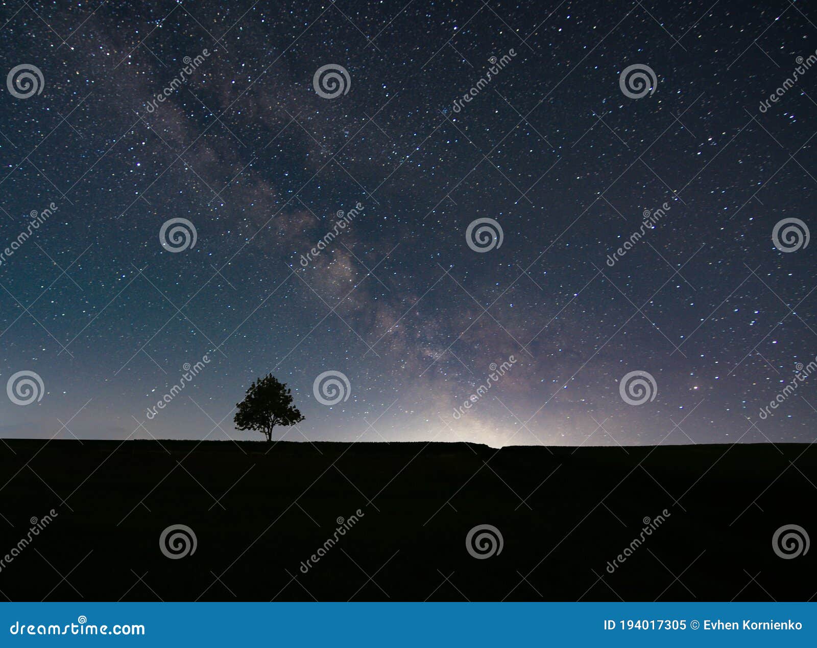 Single Tree Under Starry Sky at Night, Single Tree at Night Stock Image ...