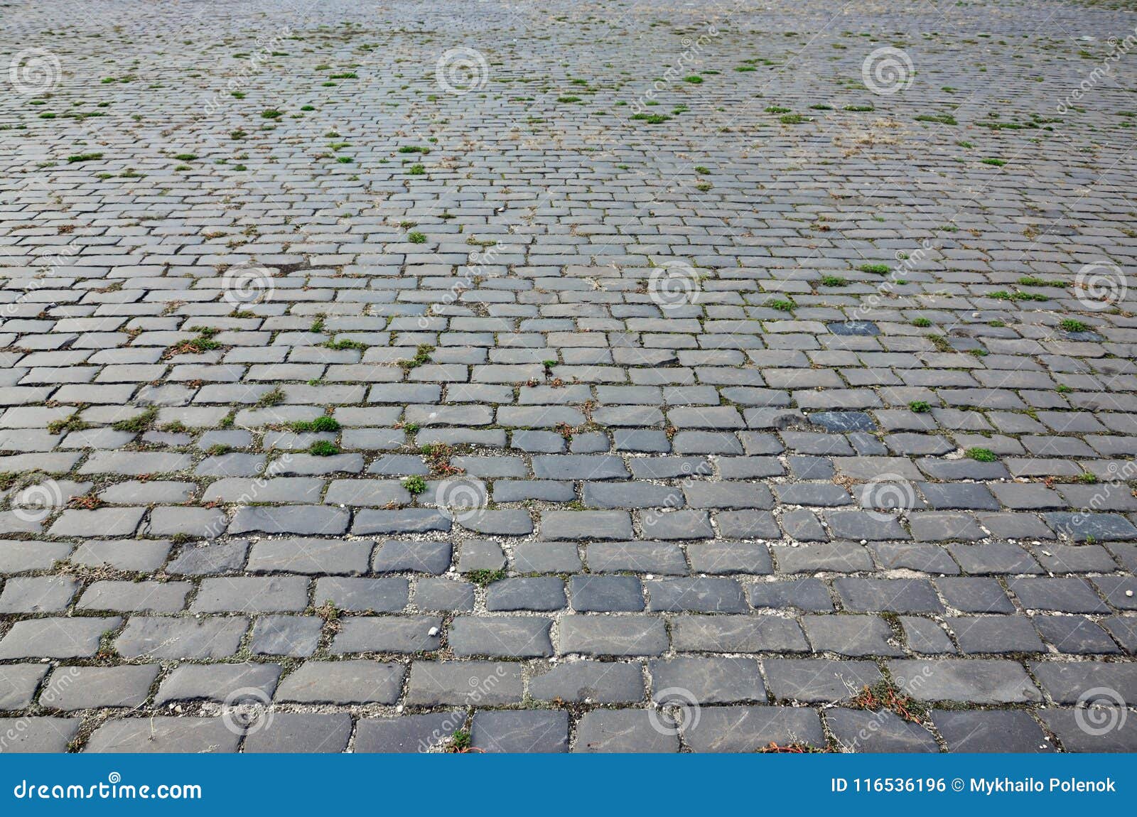 Photo of the Site of a Long and Old Worn Paving Sla Stock Photo - Image ...