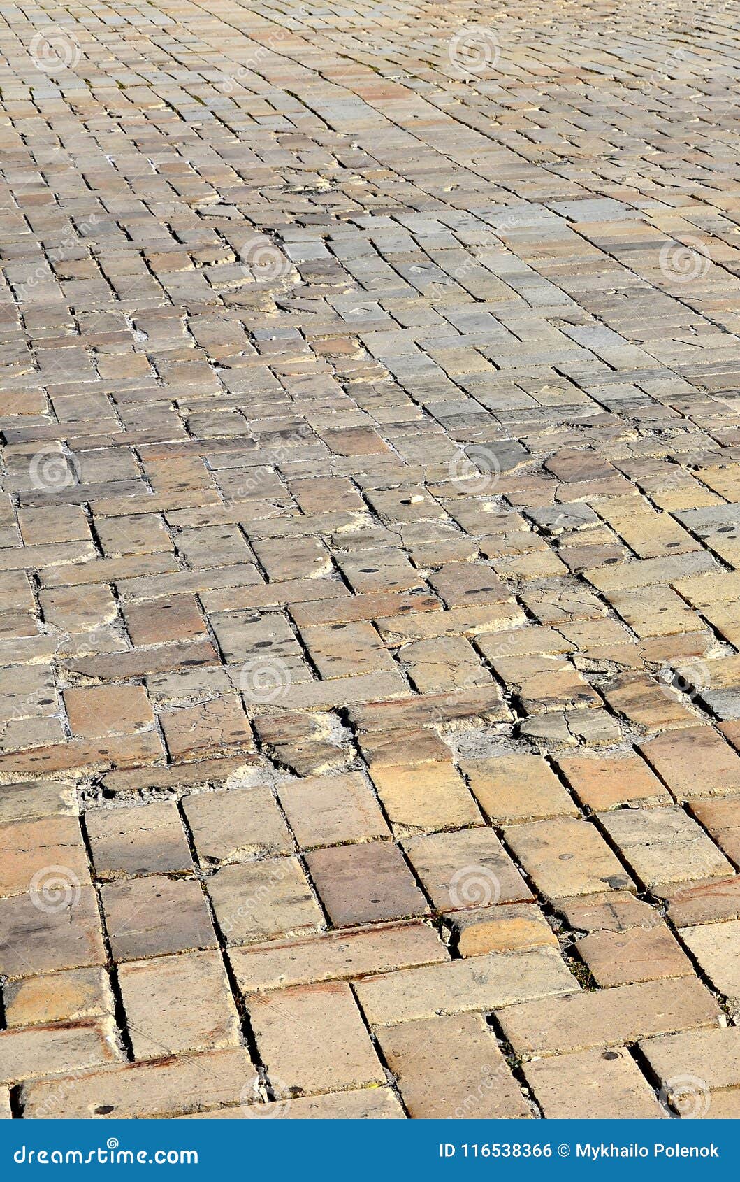 Worn Paving Tile. Stock Photography | CartoonDealer.com #98428652