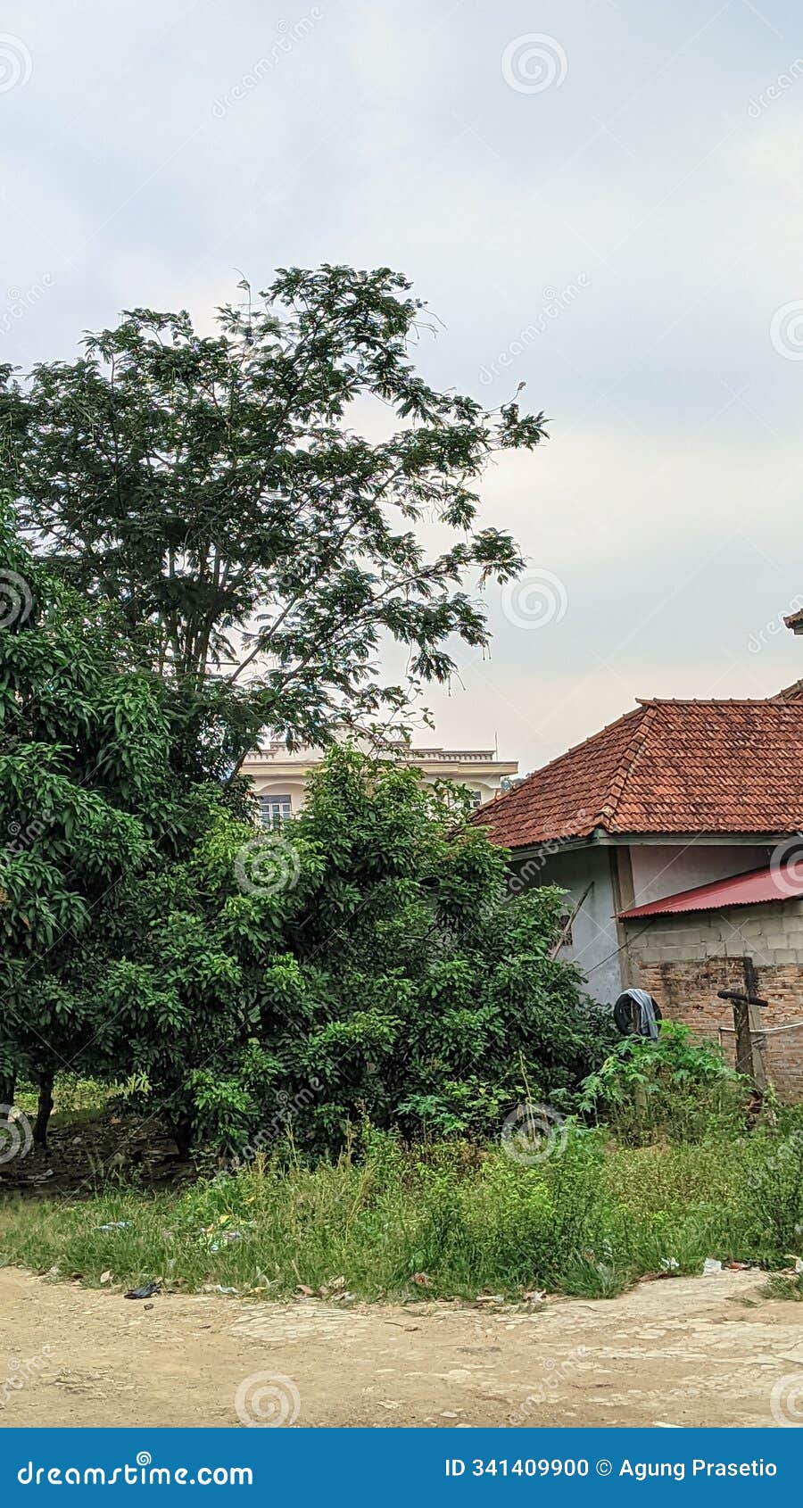Photo Sky in Morning Day with Camera Canon Stock Photo - Image of ...