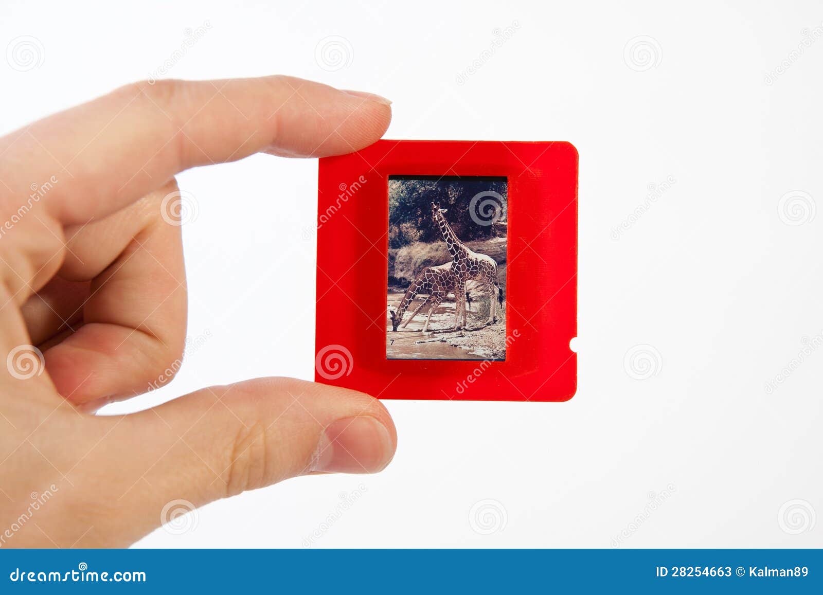 Photo Slide in hand stock image. Image of 35mm, white - 28254663