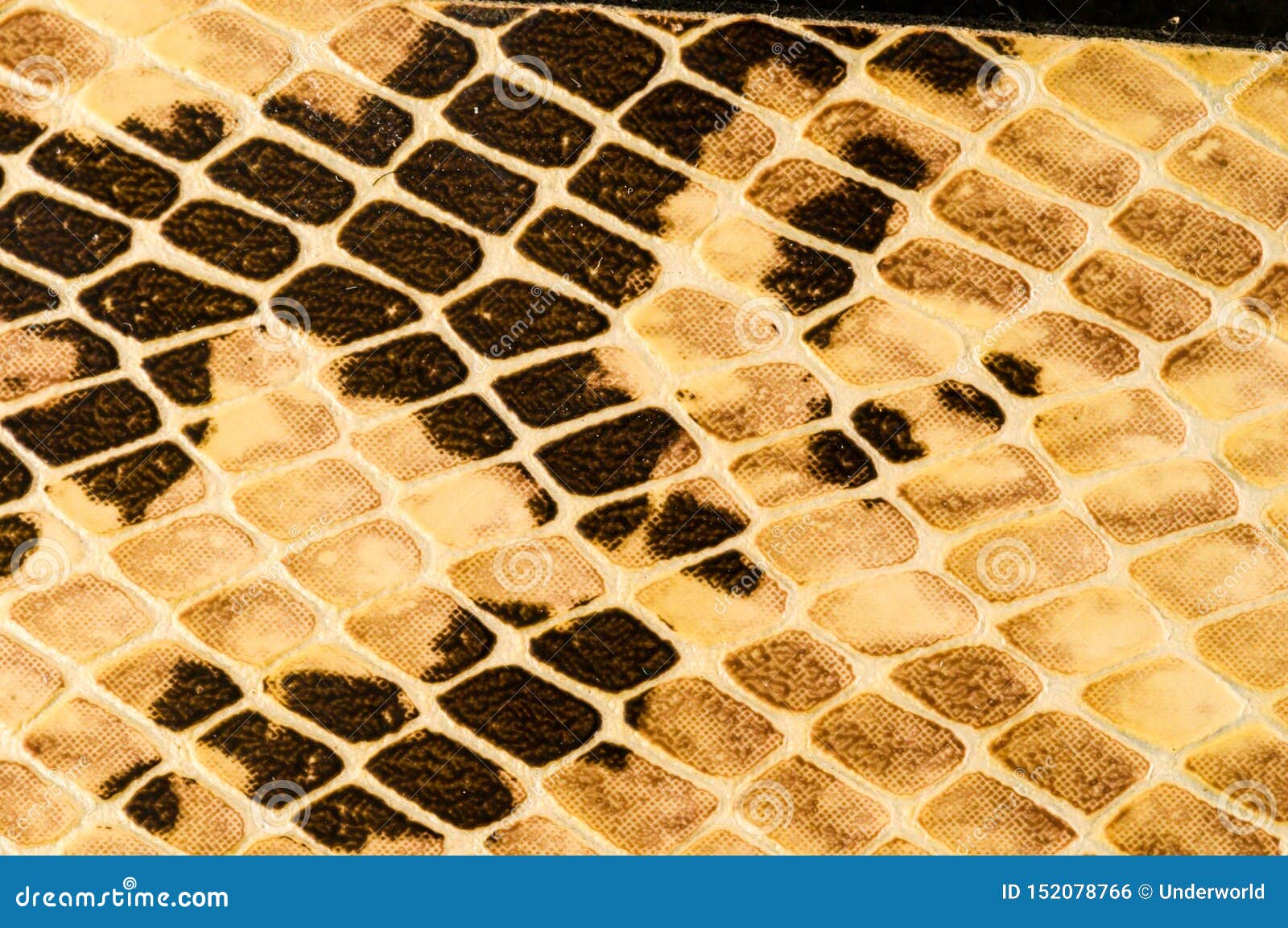 Snake Skin Pattern Background Stock Photo - Image of skin, abstract ...