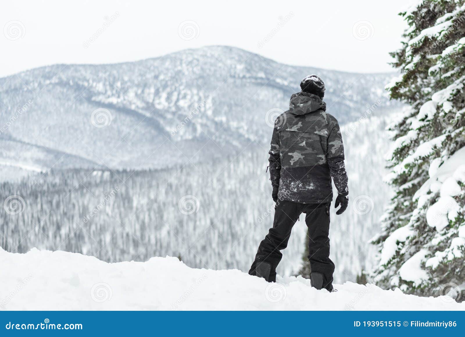 Photo stock image. Image of snowboarder, snow, snowboarding - 193951515